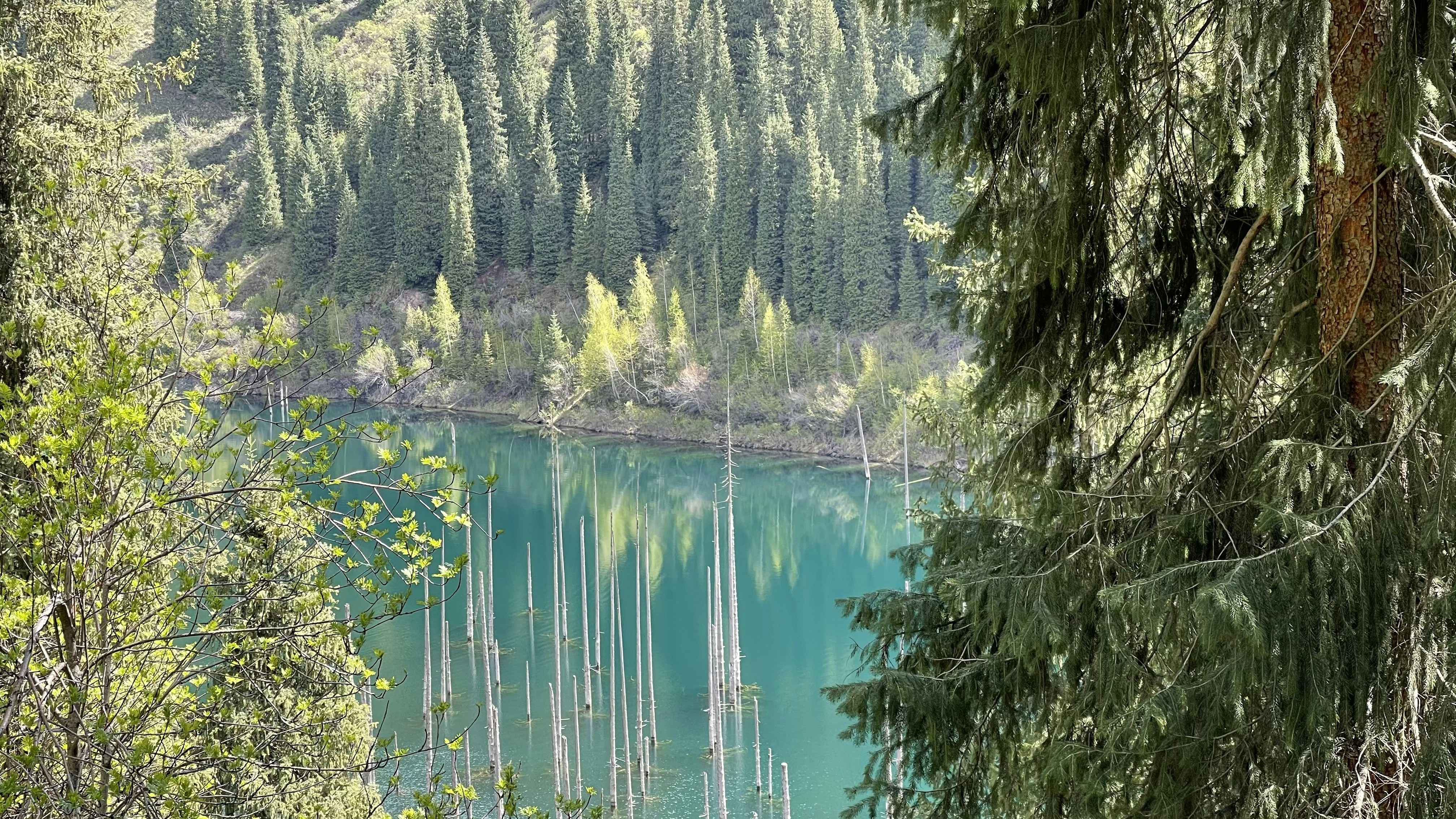 Marina Sol (@mhairie) | Unsplashフォトコミュニティ