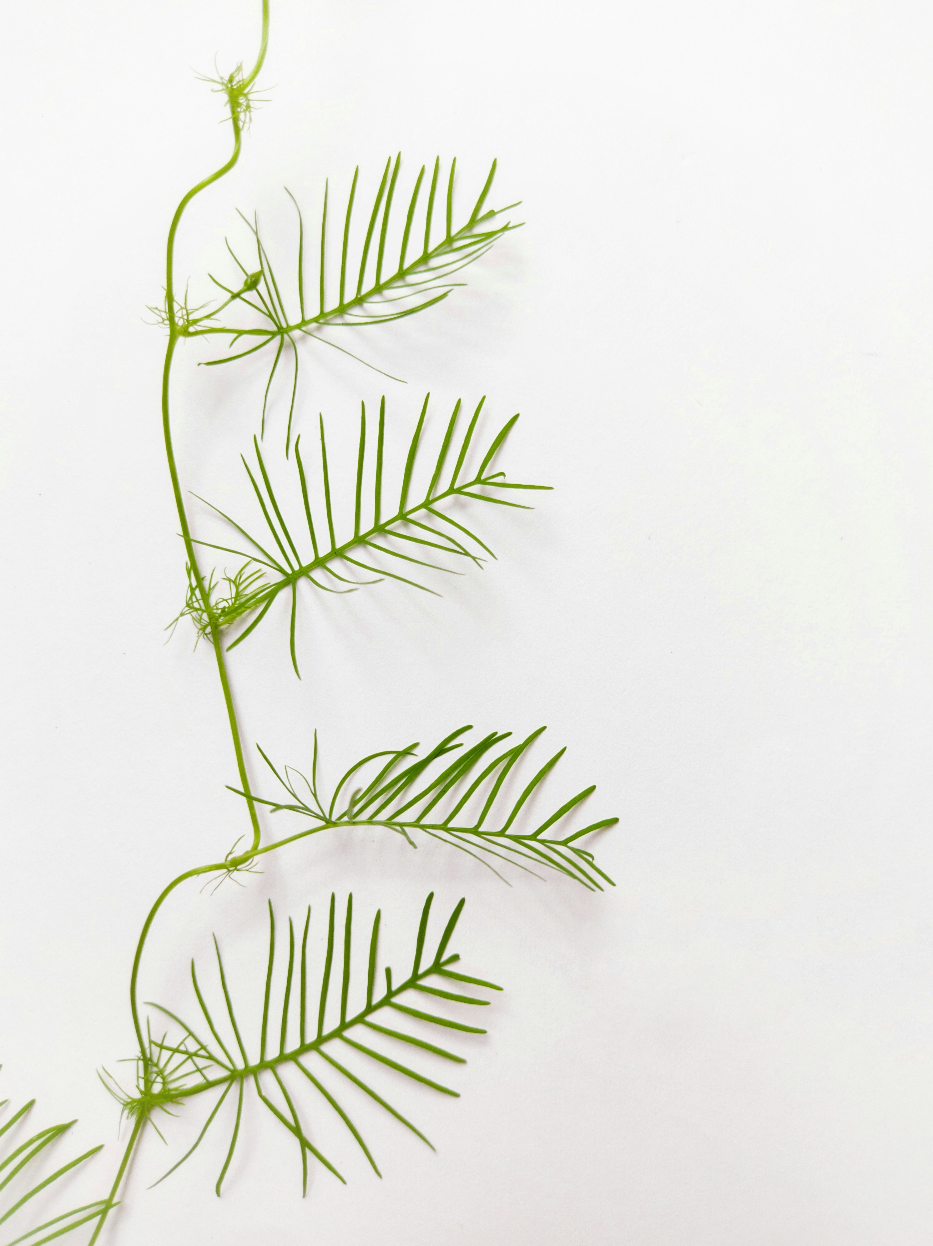 Sample photo from Xiaomi Poco M2 Pro