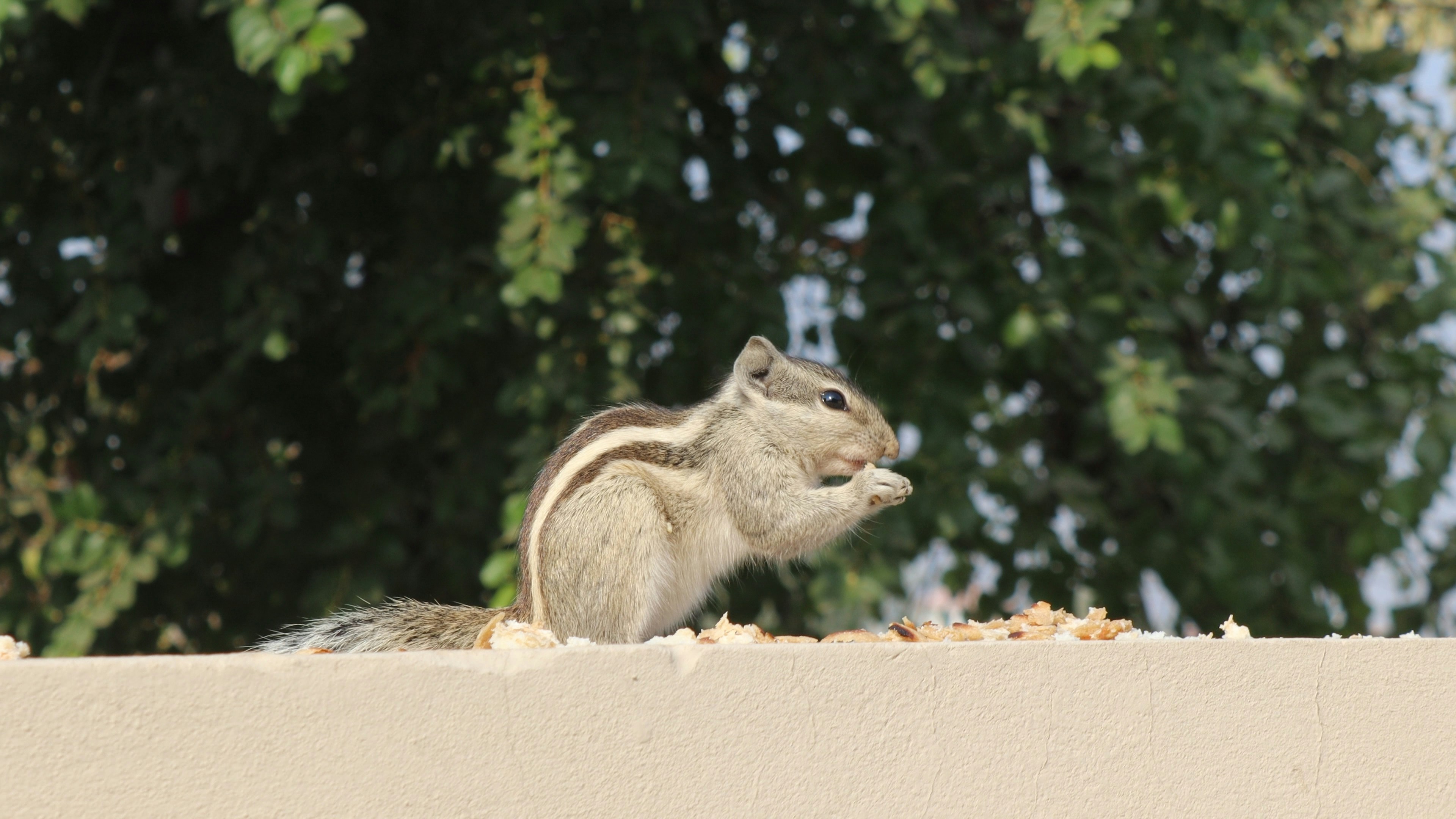 Photo by Anees Ur Rehman with Canon EOS 250D