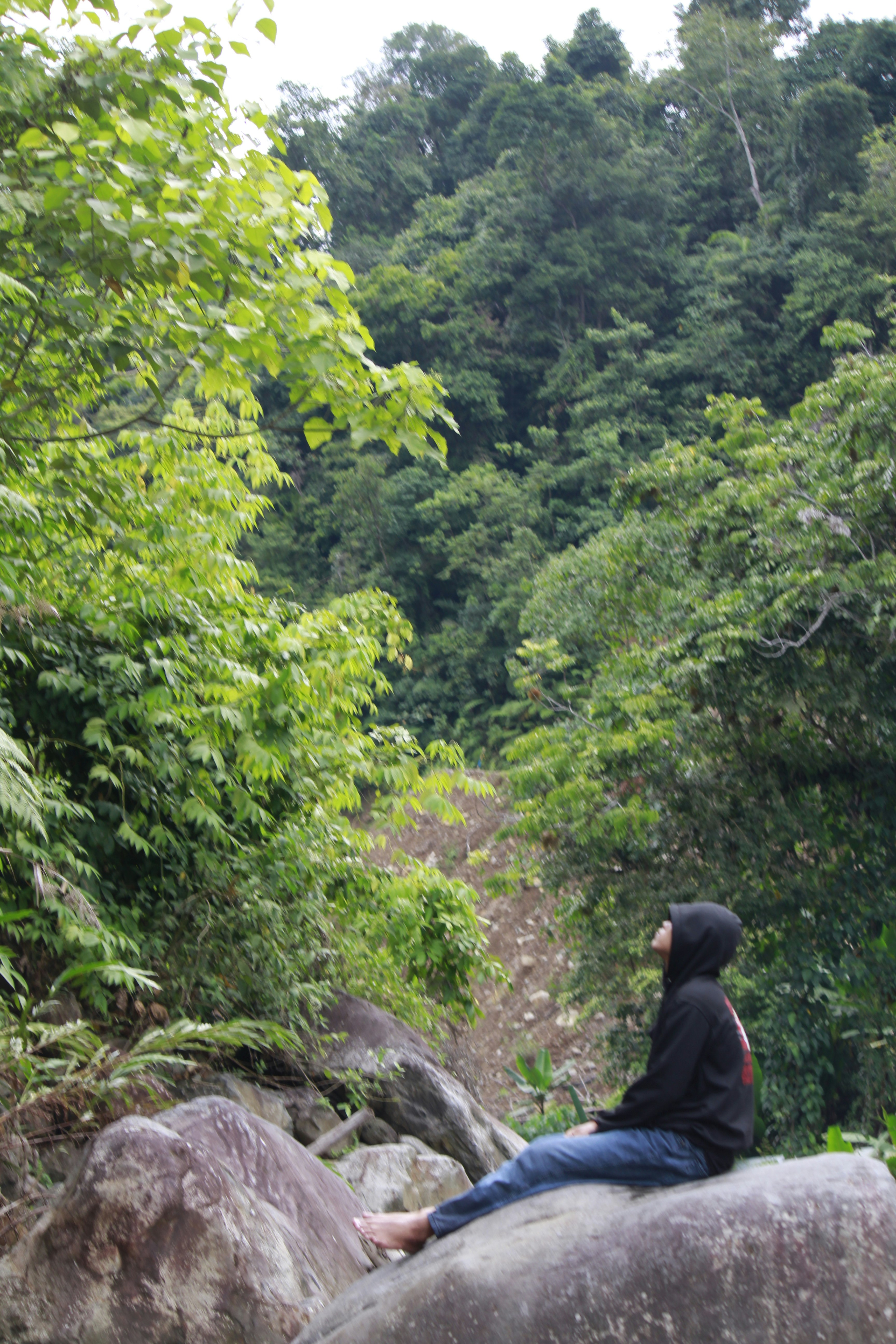 Rockside Reverie: A Hooded Figure Pauses Amid a Sea of Green