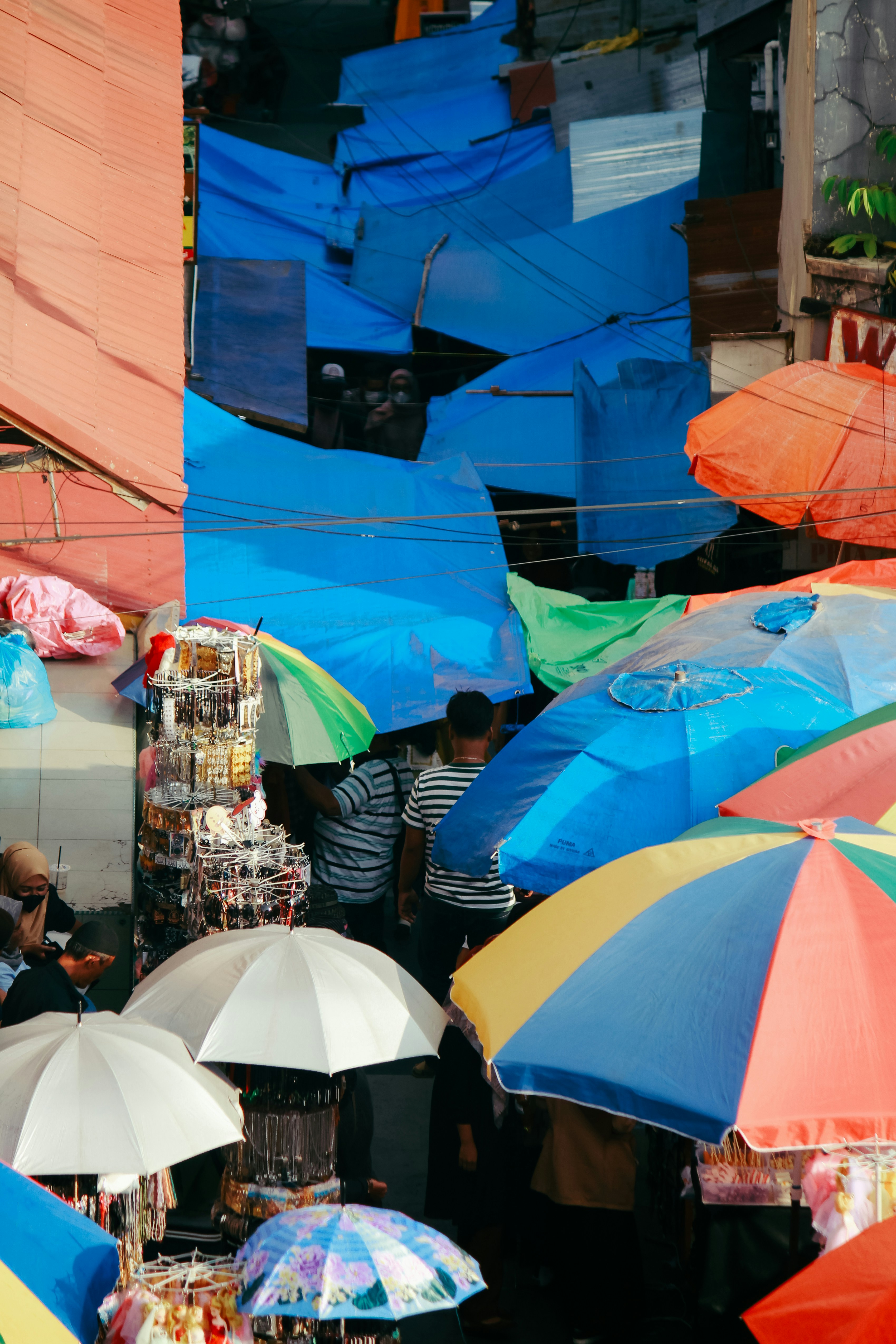 A group of people stand under umbrellas photo – Free Umbrella Image on ...