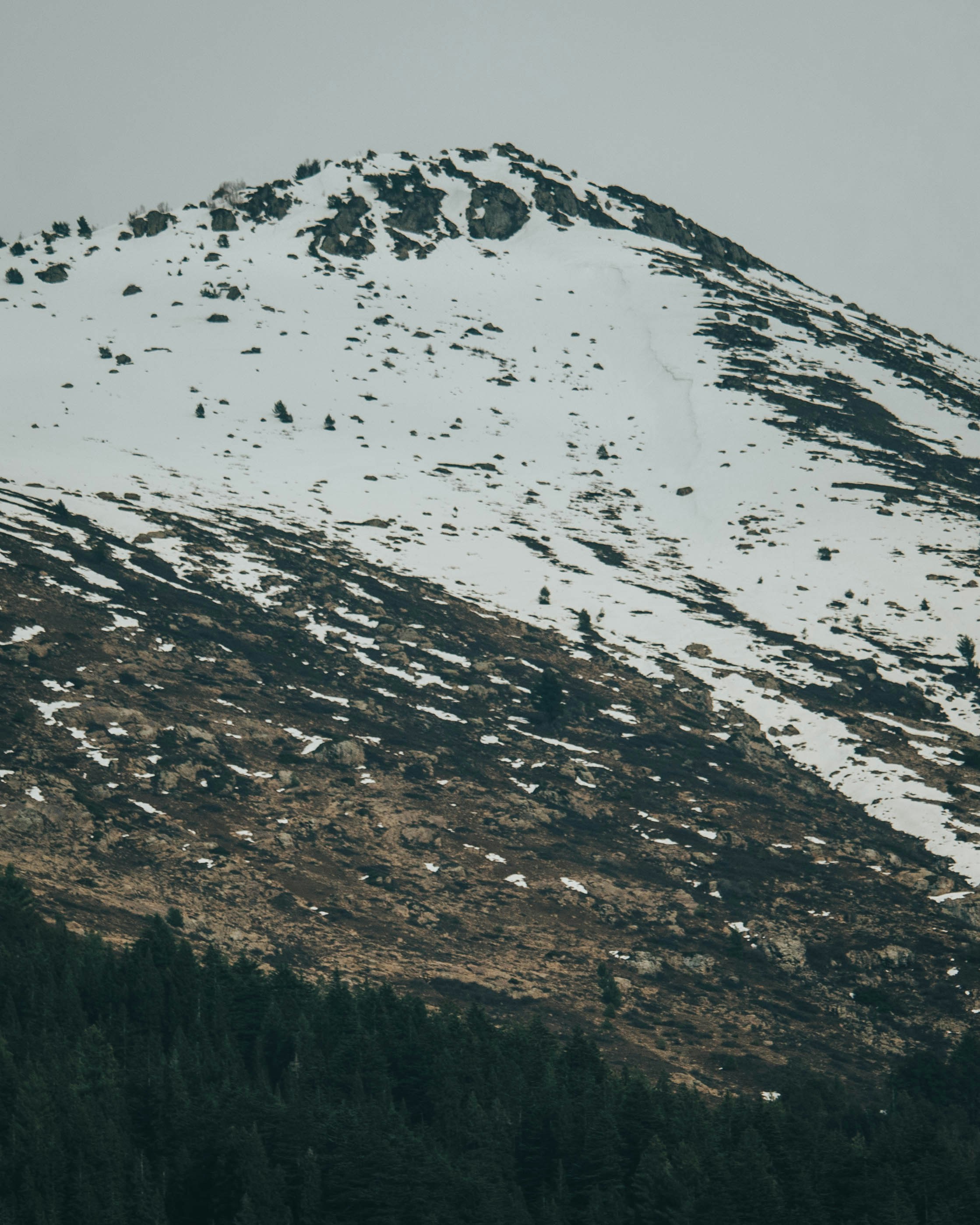 A flock of birds flying over a mountain photo – Free Slope Image on ...