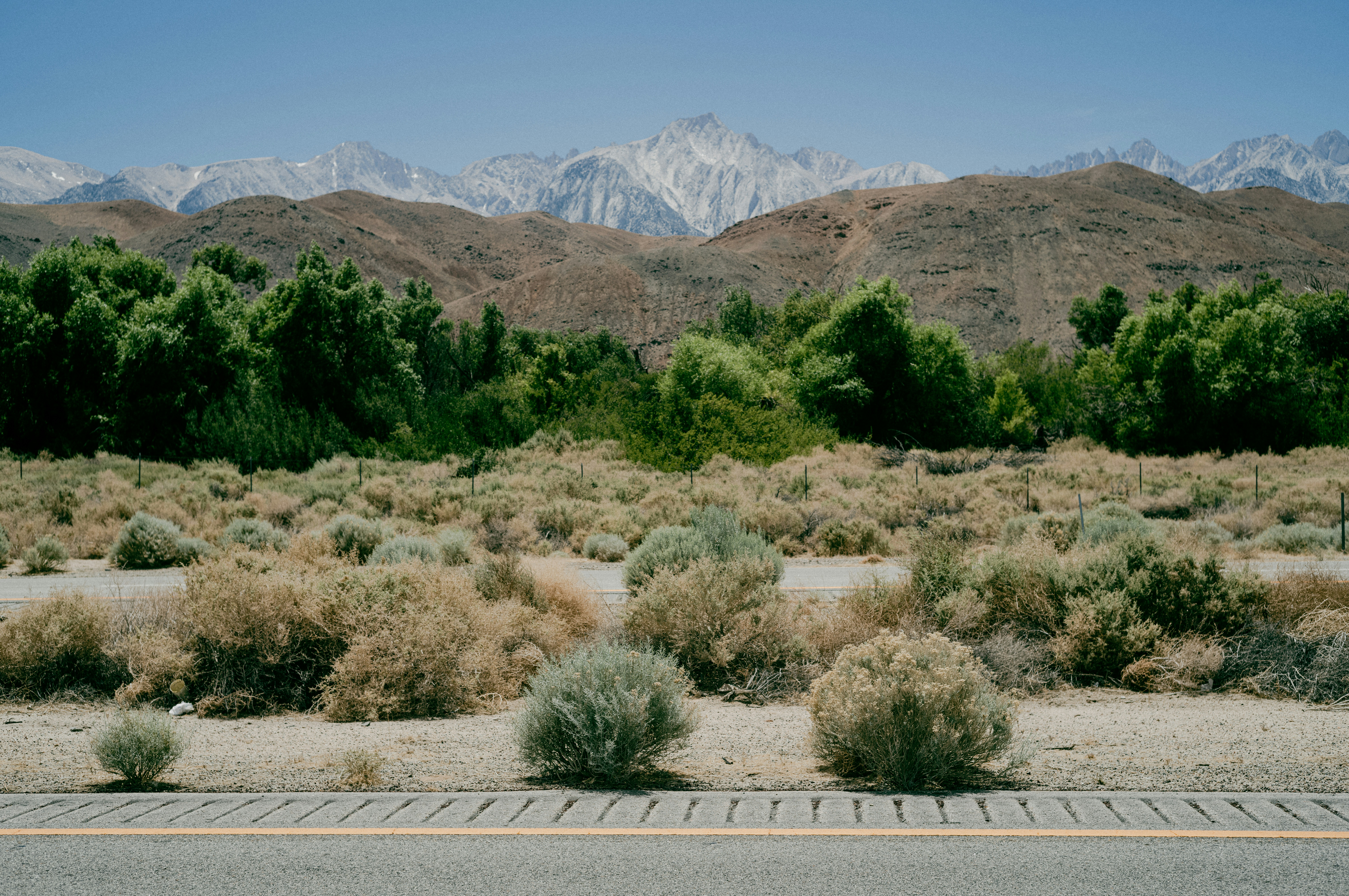 A desert landscape with trees and mountains photo – Free Nature Image ...