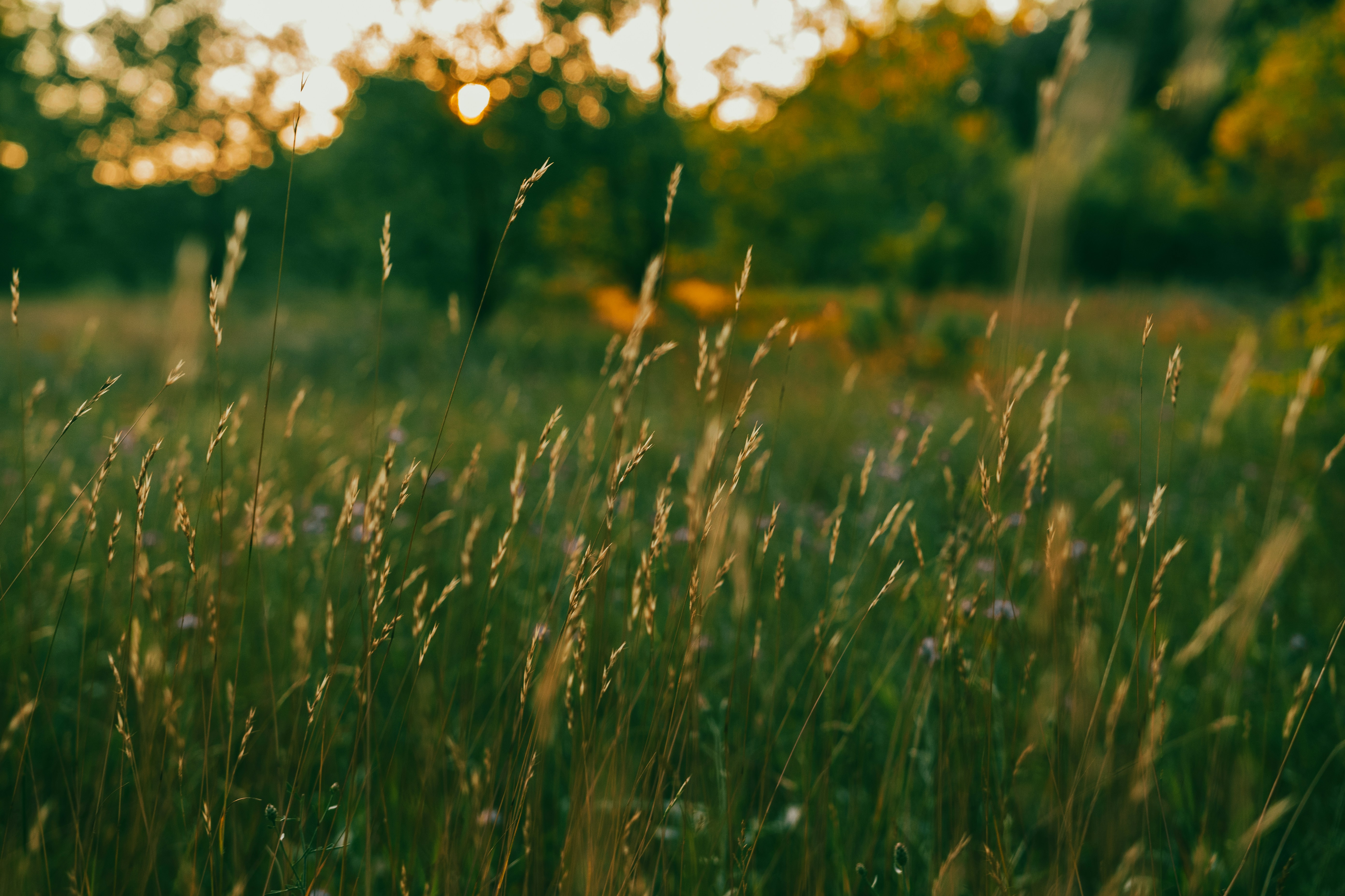 Photo by Samuel Girven with Nikon Z50