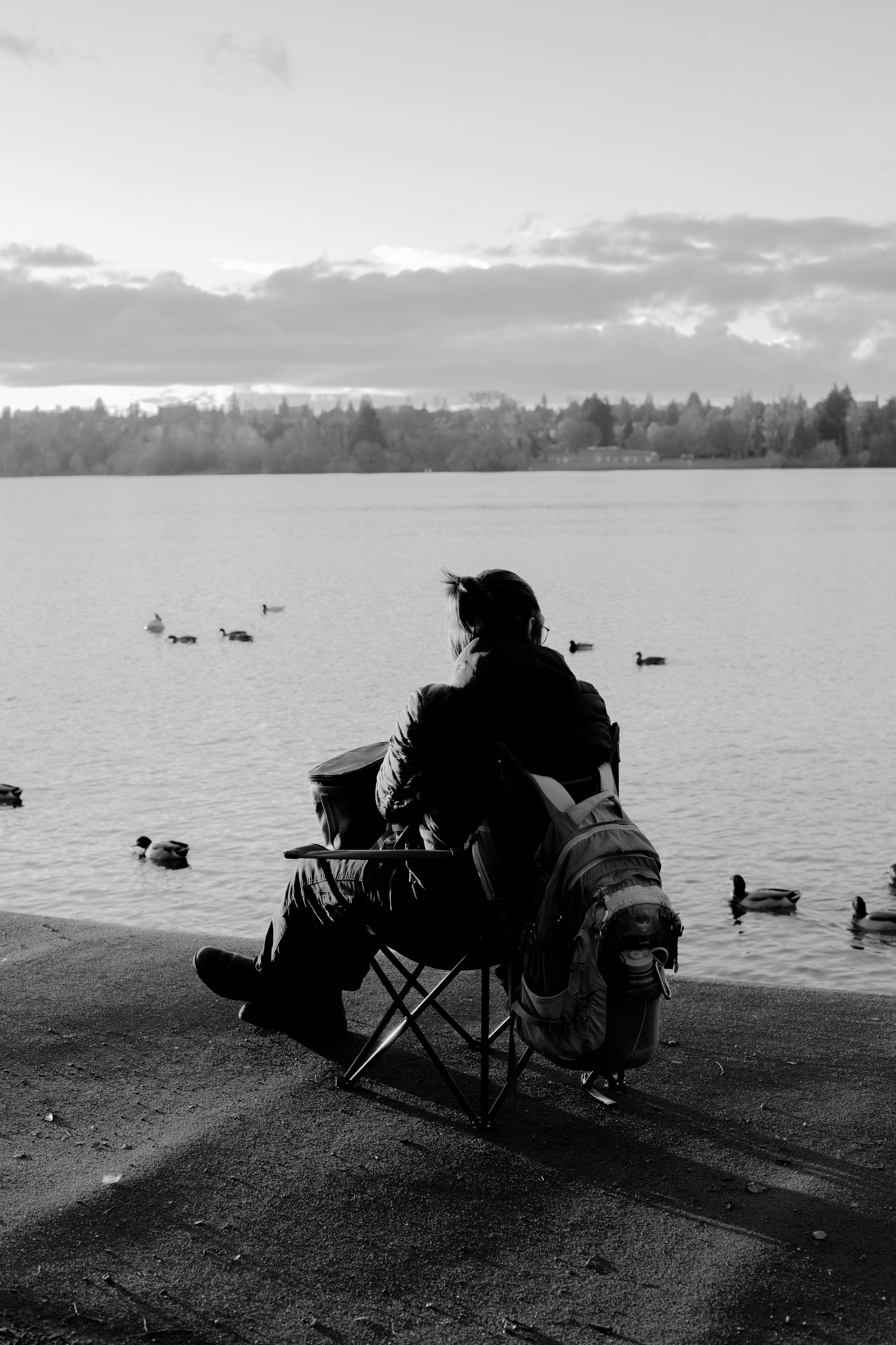 Lakeside Silence: A Lone Traveler Pauses by the Water