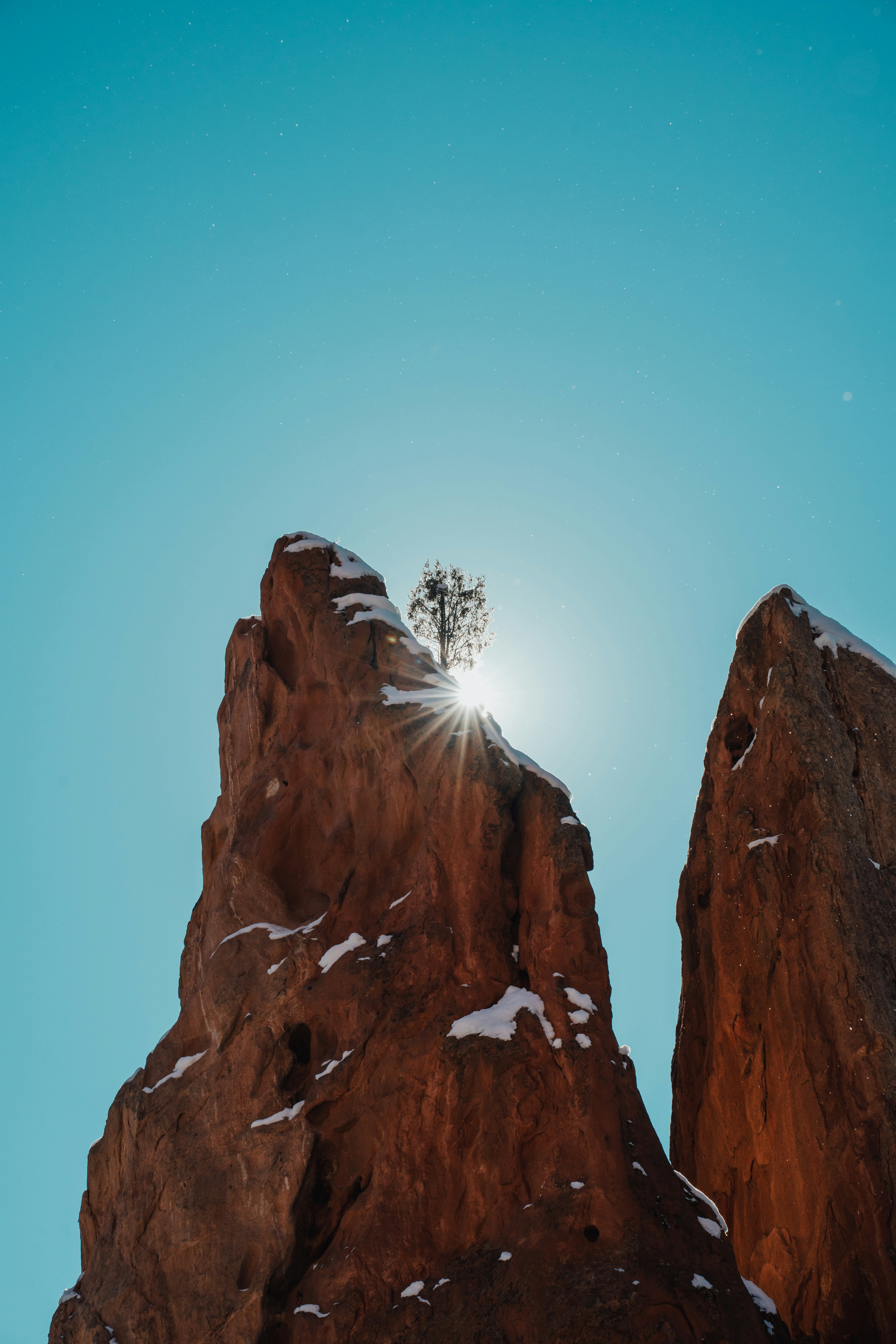 Un arbre au sommet d’un rocher photo – Image gratuite de Dehors sur ...