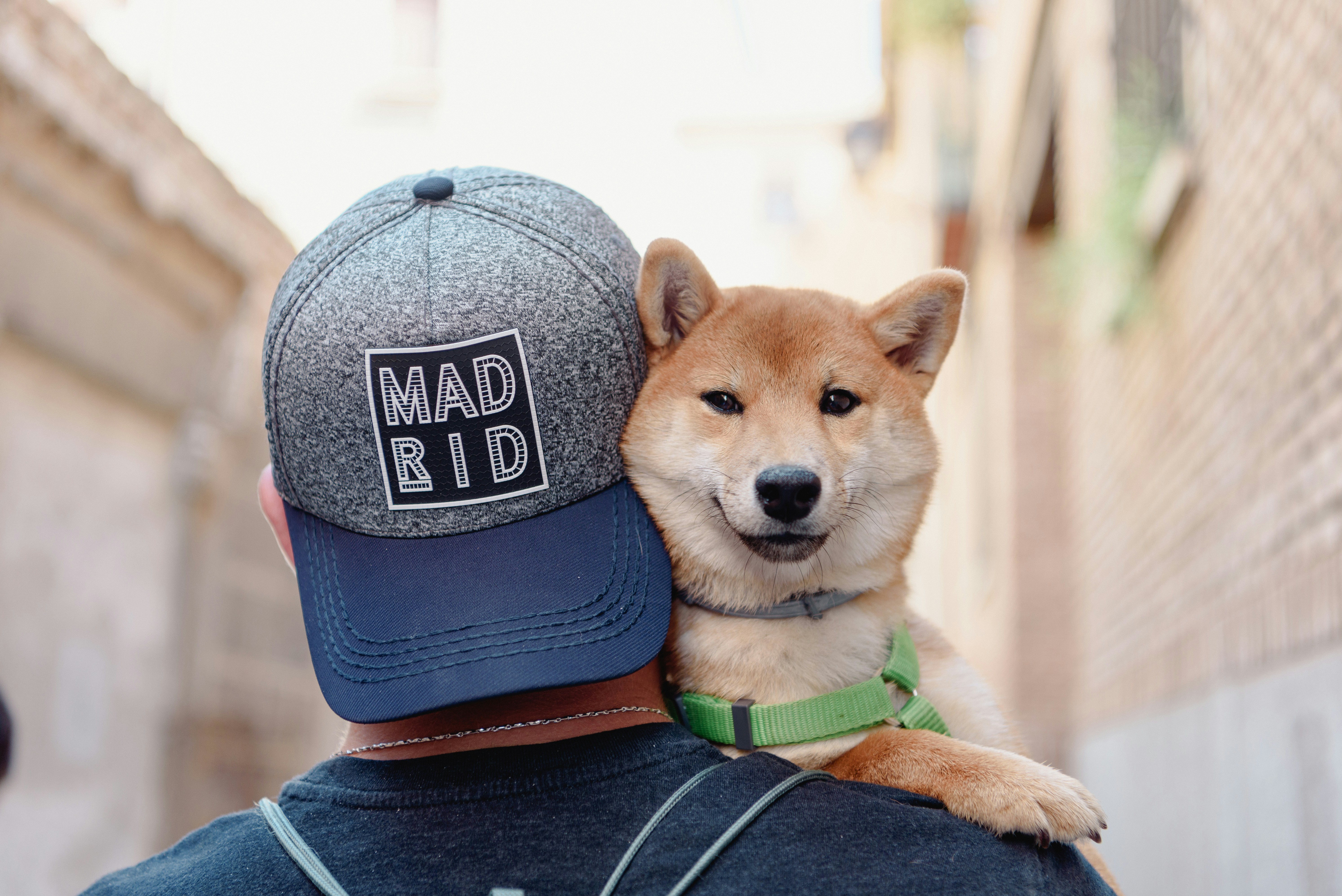 Urban Companions: A Moment in the Alley