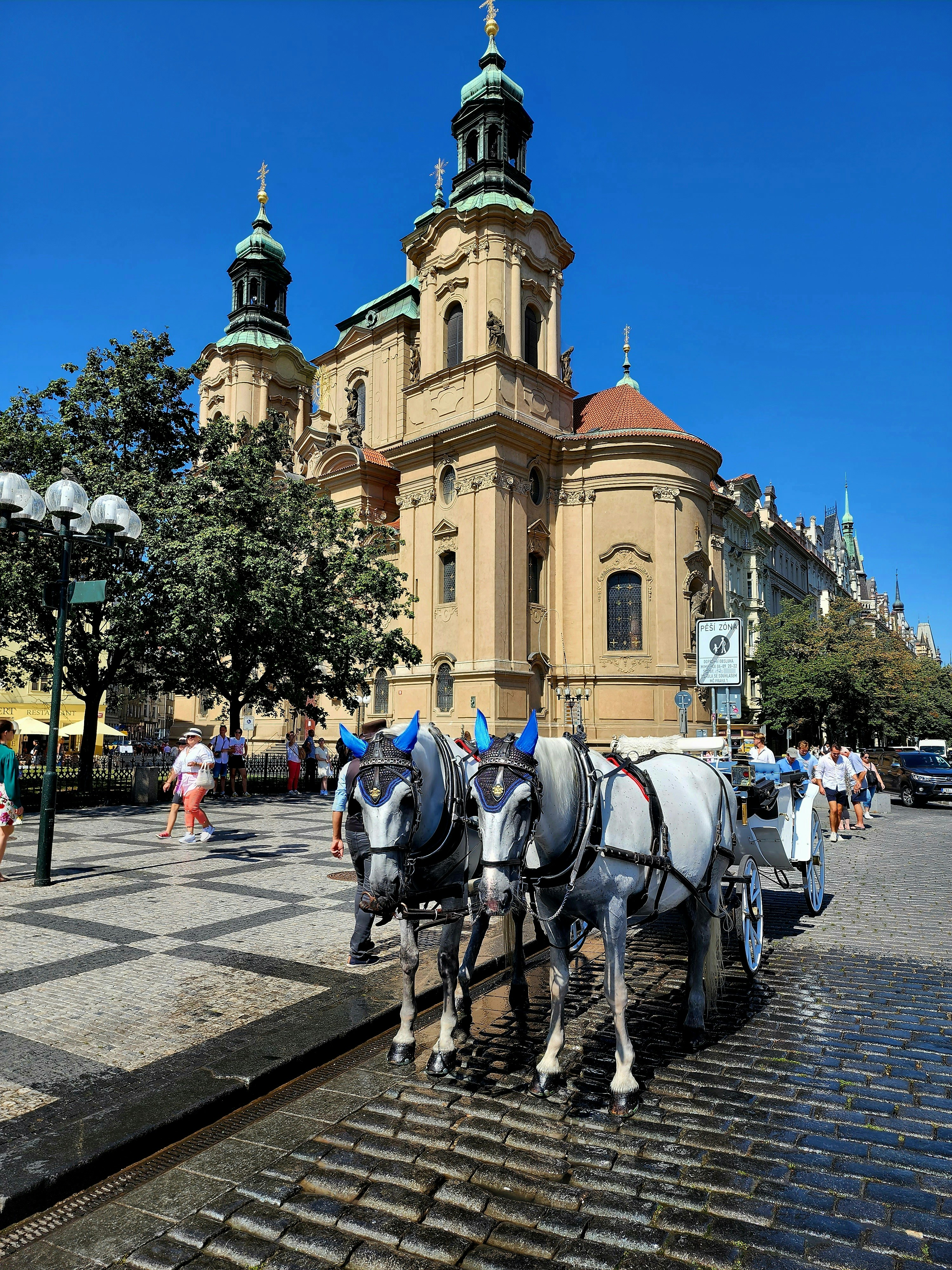 Carriage Parade Before a Baroque Cathedral on a Sunlit Cobblestone Plaza