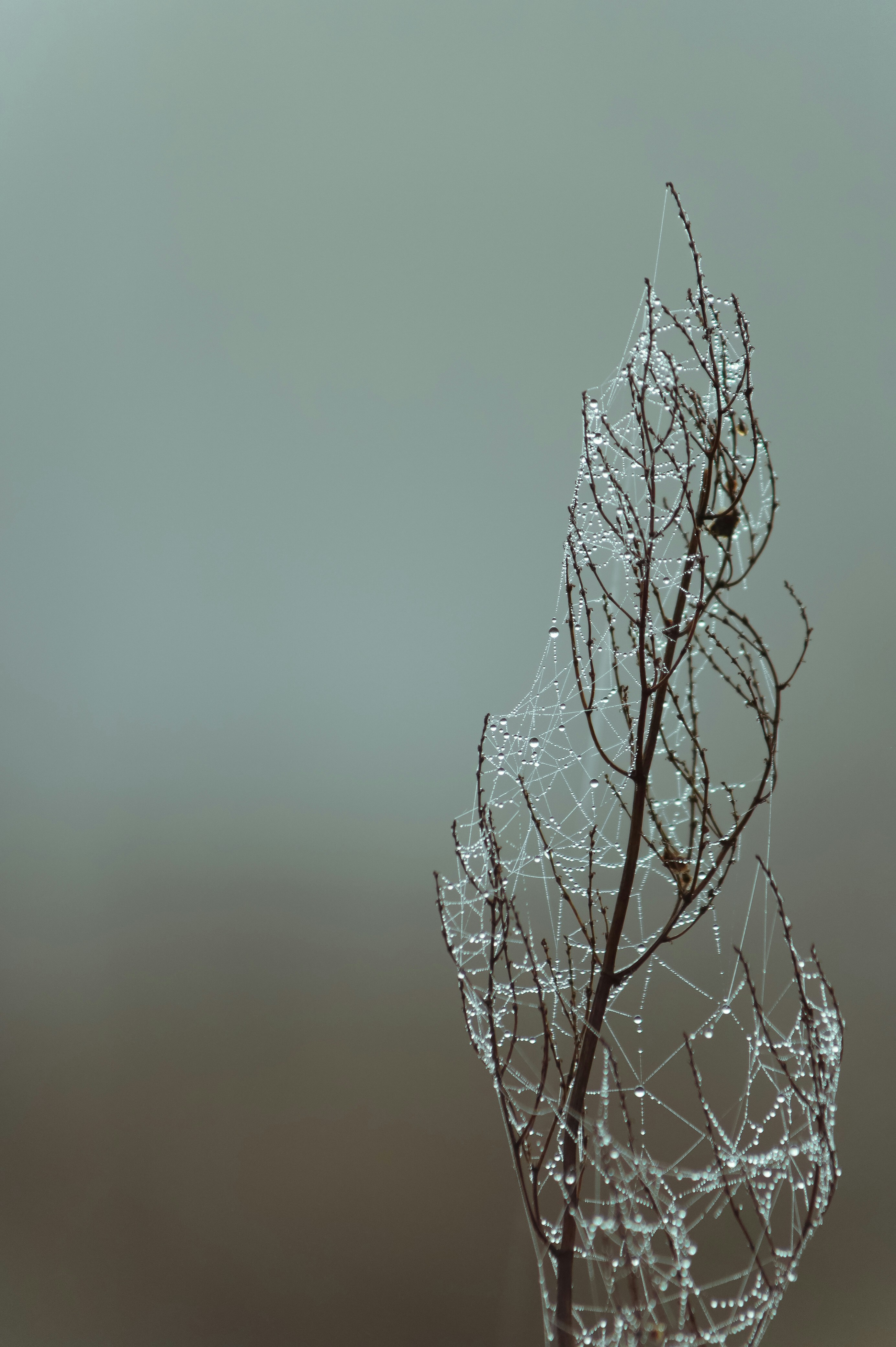 Photo by Viktoriia Filipchenko with Canon EOS RP