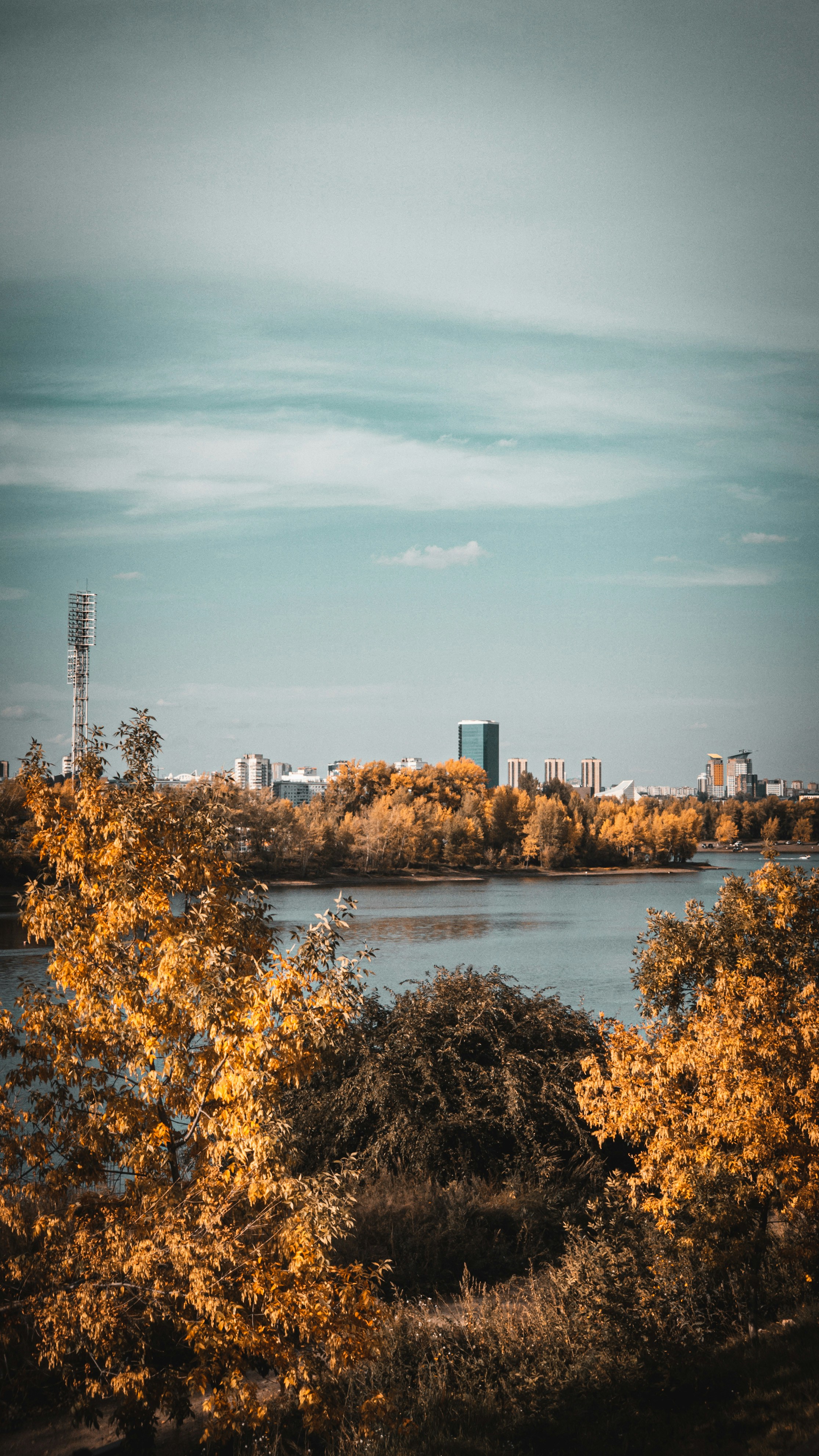 a body of water with trees around it and buildings in the background