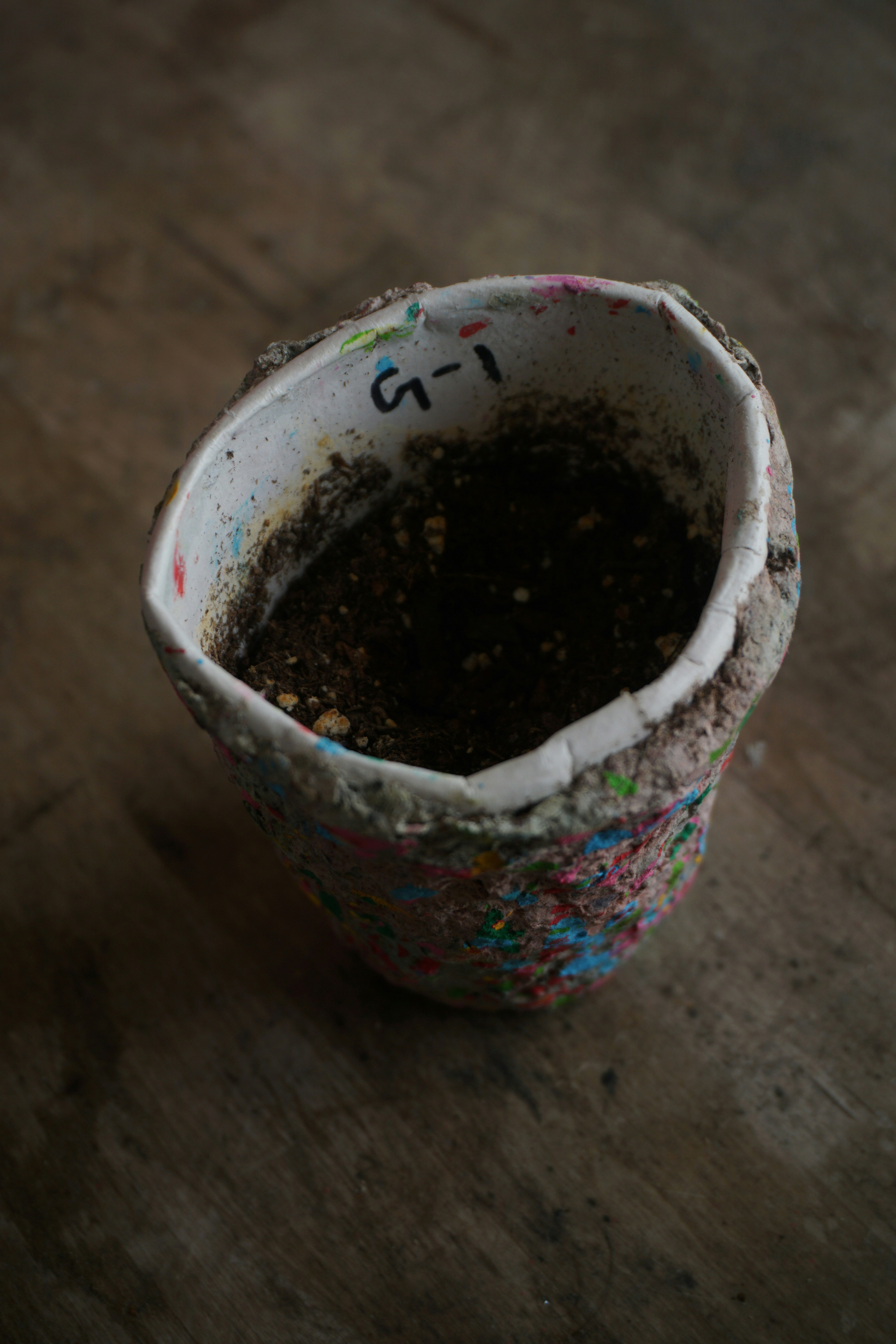Color-Splashed Ceramic Cup: A Quiet Planter of Dark Soil