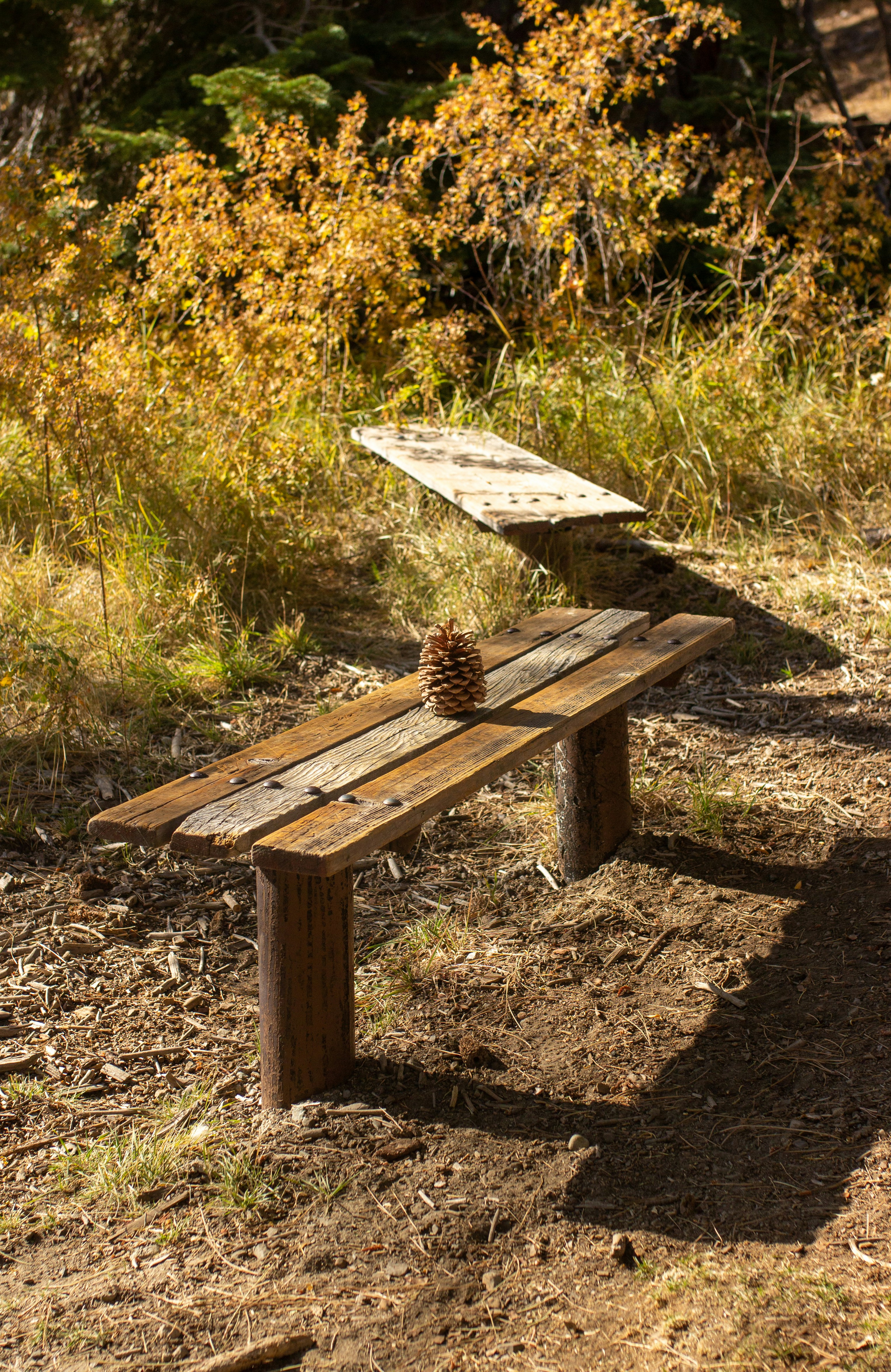 Bailee Michaela (@baileemichaelaphoto) | Unsplash Photo Community