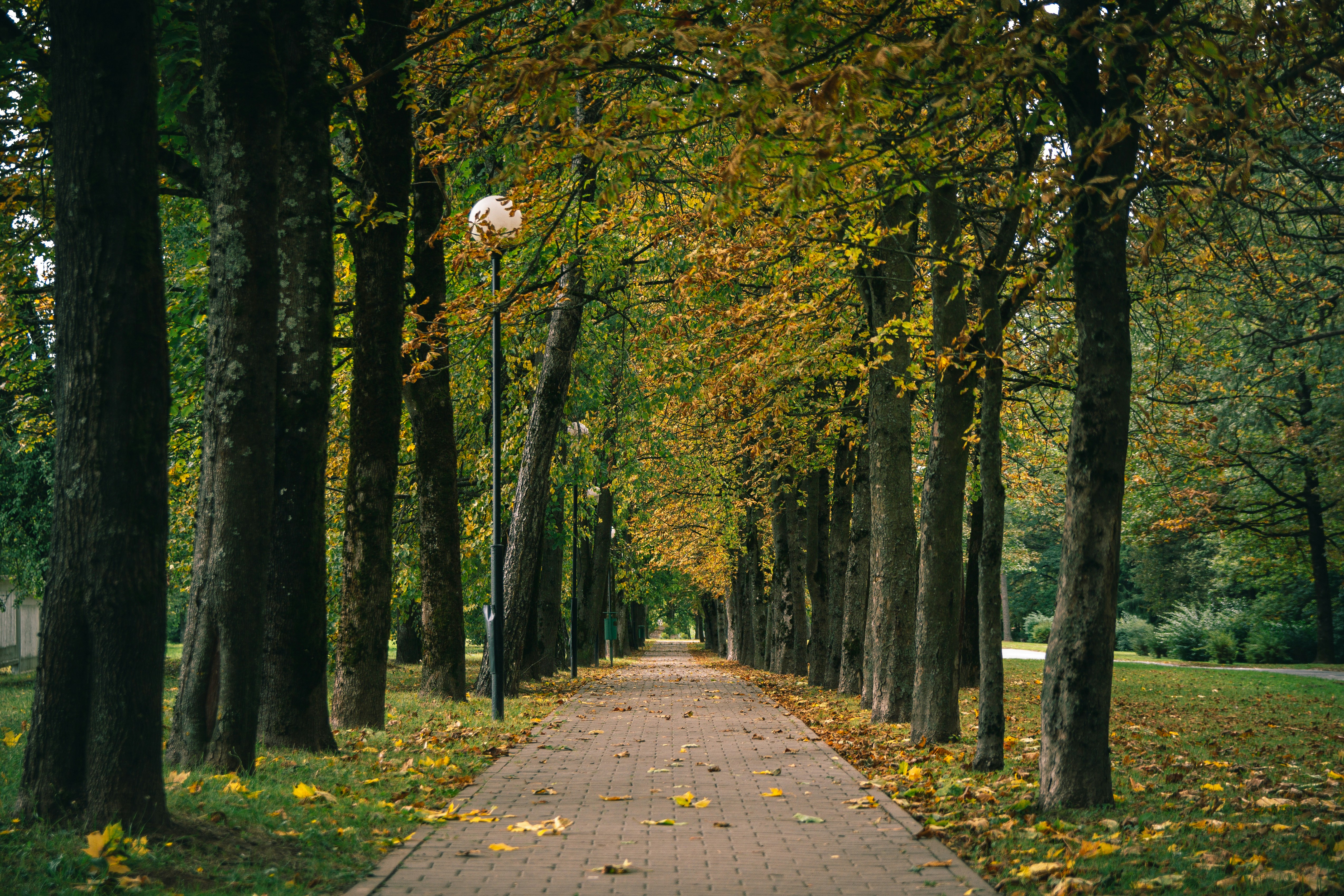 Photo by Alexander Fastovets with Canon EOS 650D