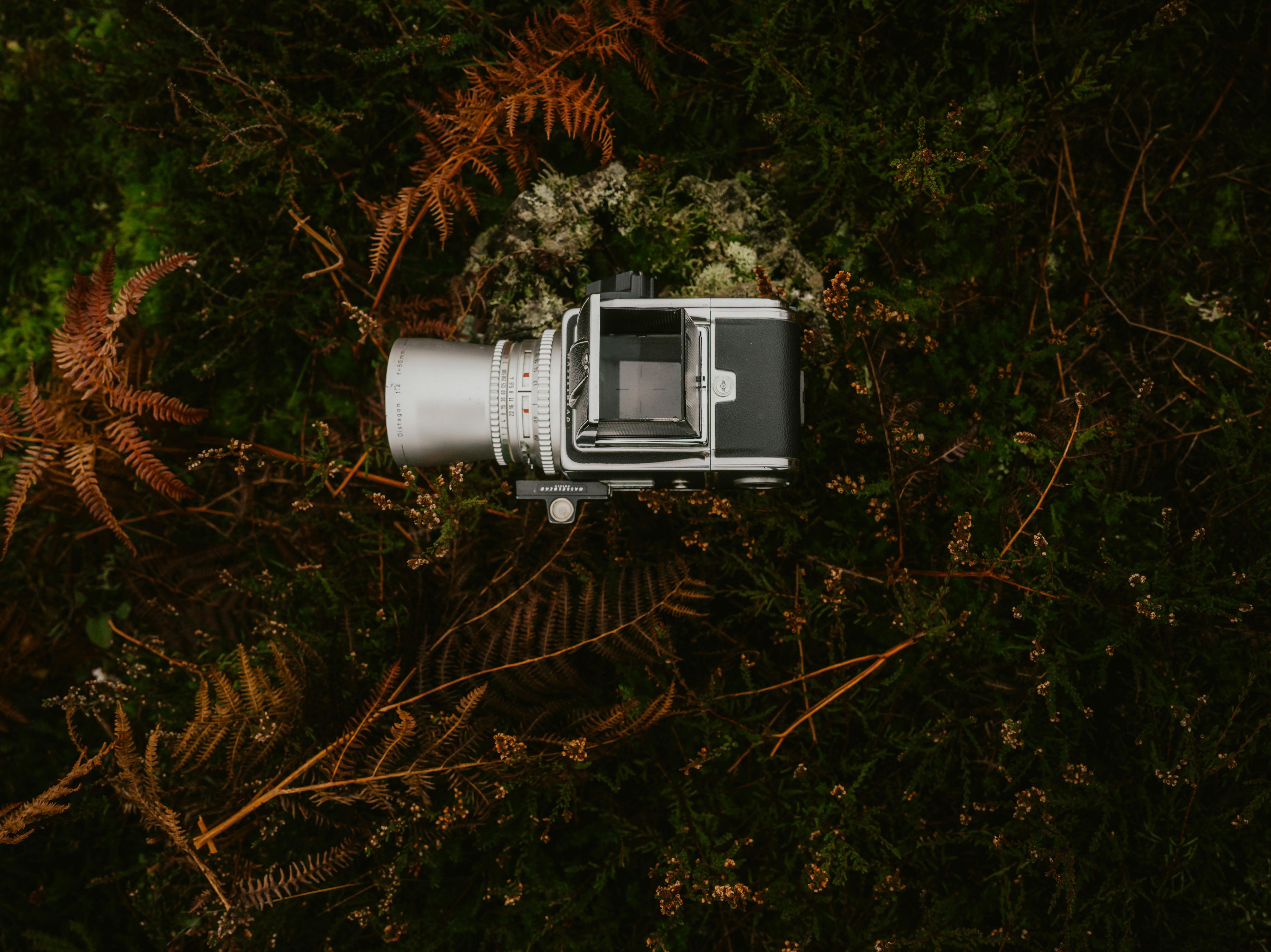 Photo by Annie Spratt with Hasselblad 907X 50C