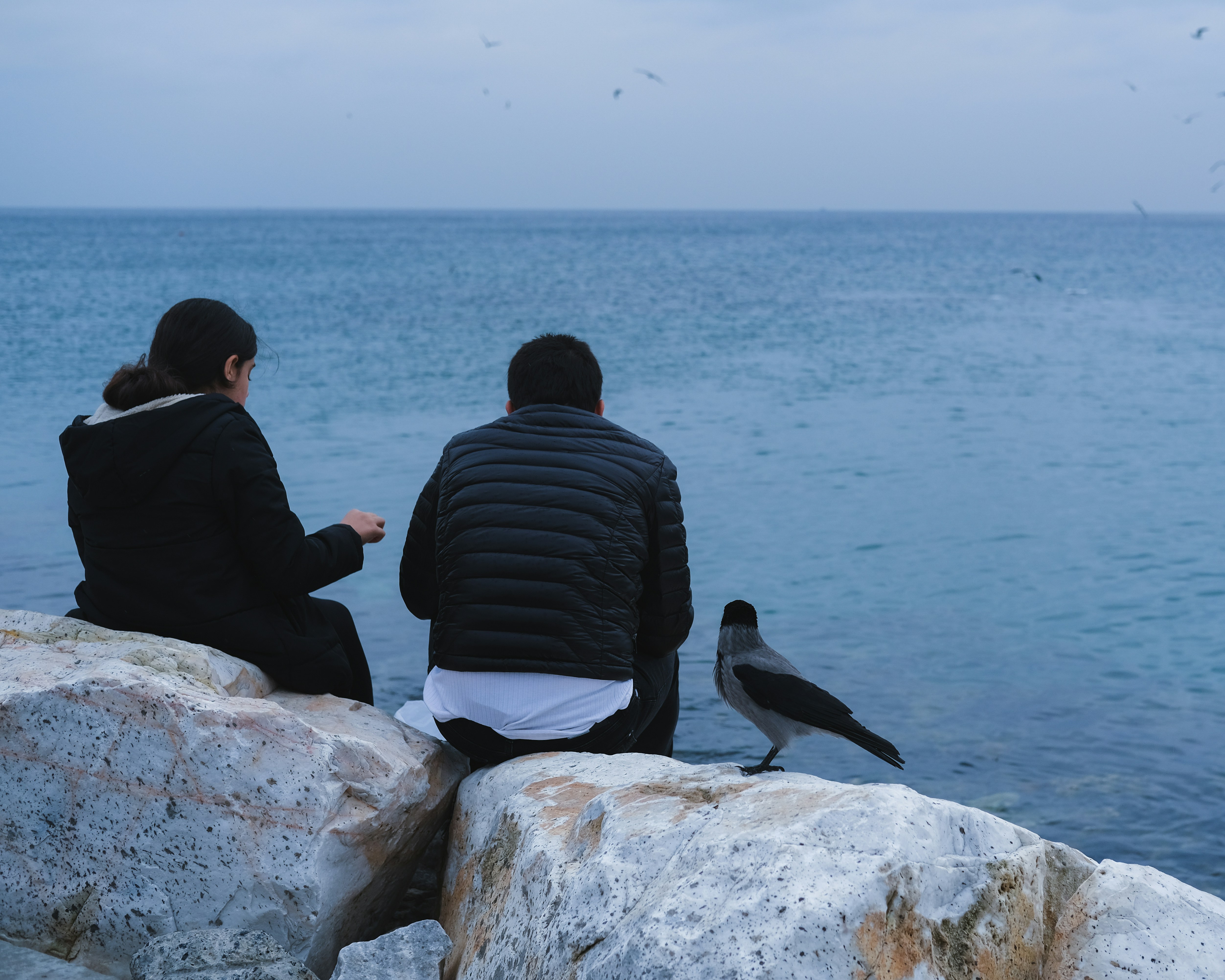 Two figures on sea-carved rocks share a quiet moment as a lone bird surveys the shoreline