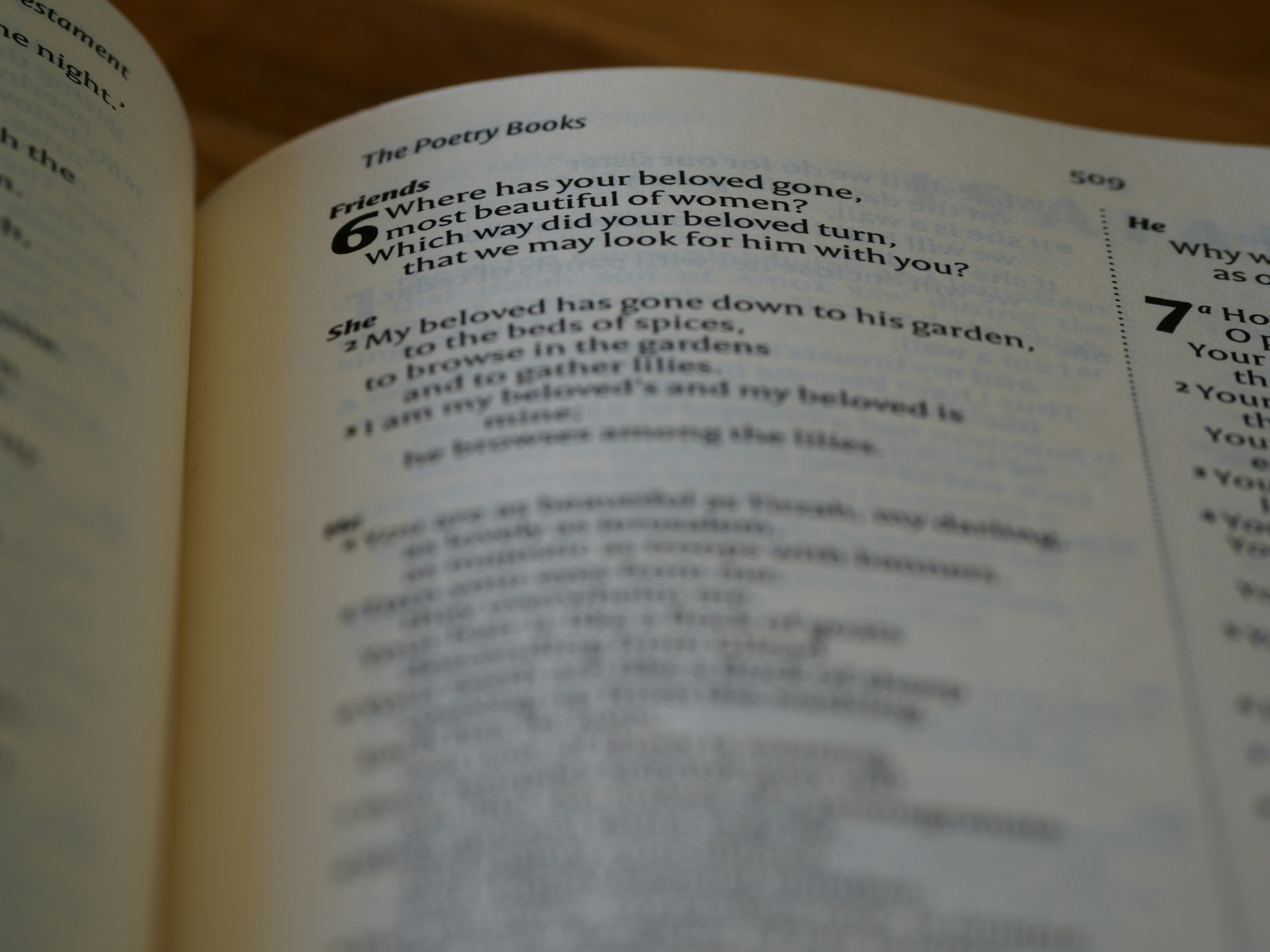 Foto zum Thema Text, Brief – Kostenloses Bild zu Seite auf Unsplash