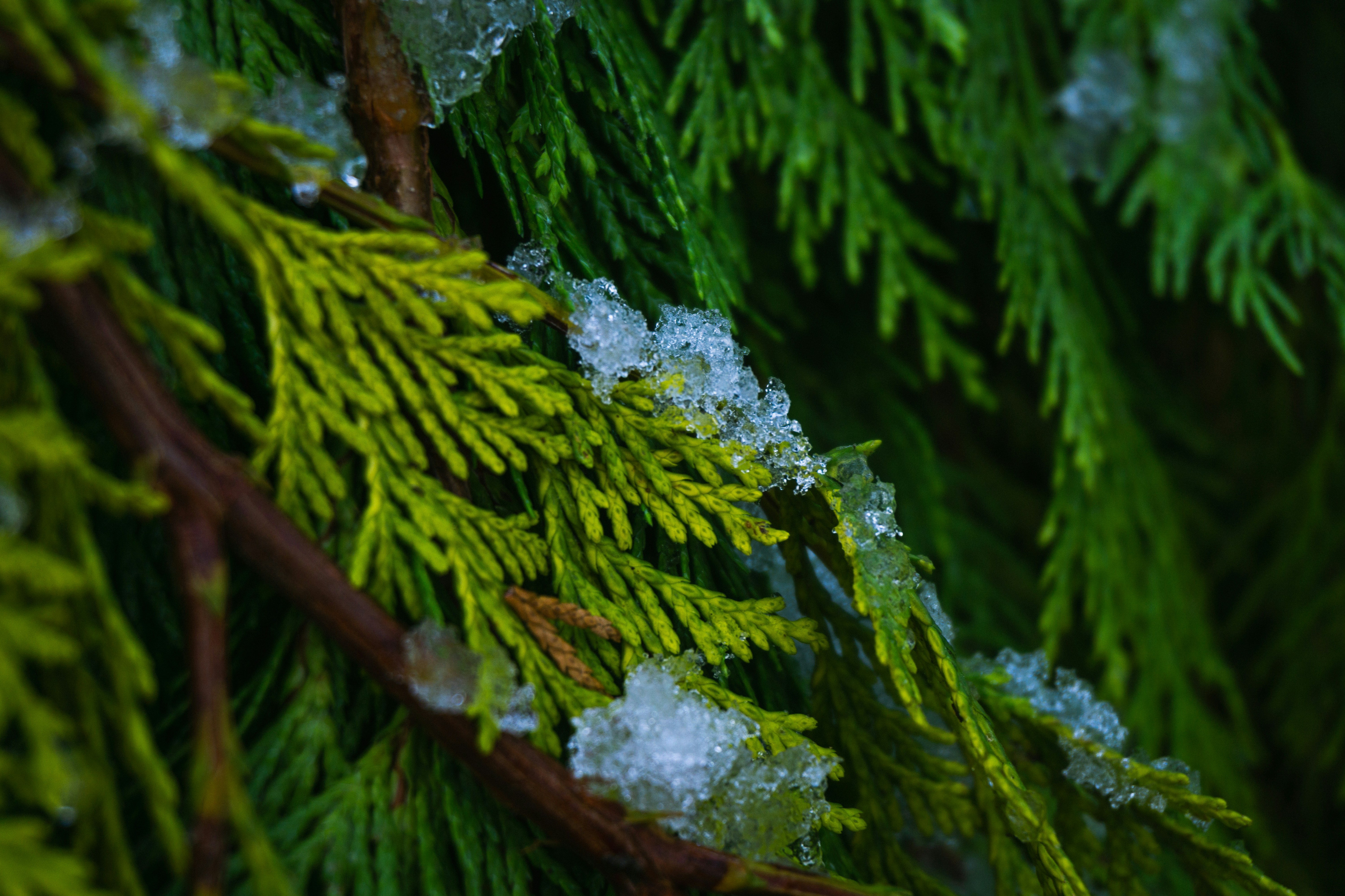 Photo by Mykyta Kondratov with Sony Alpha 6000