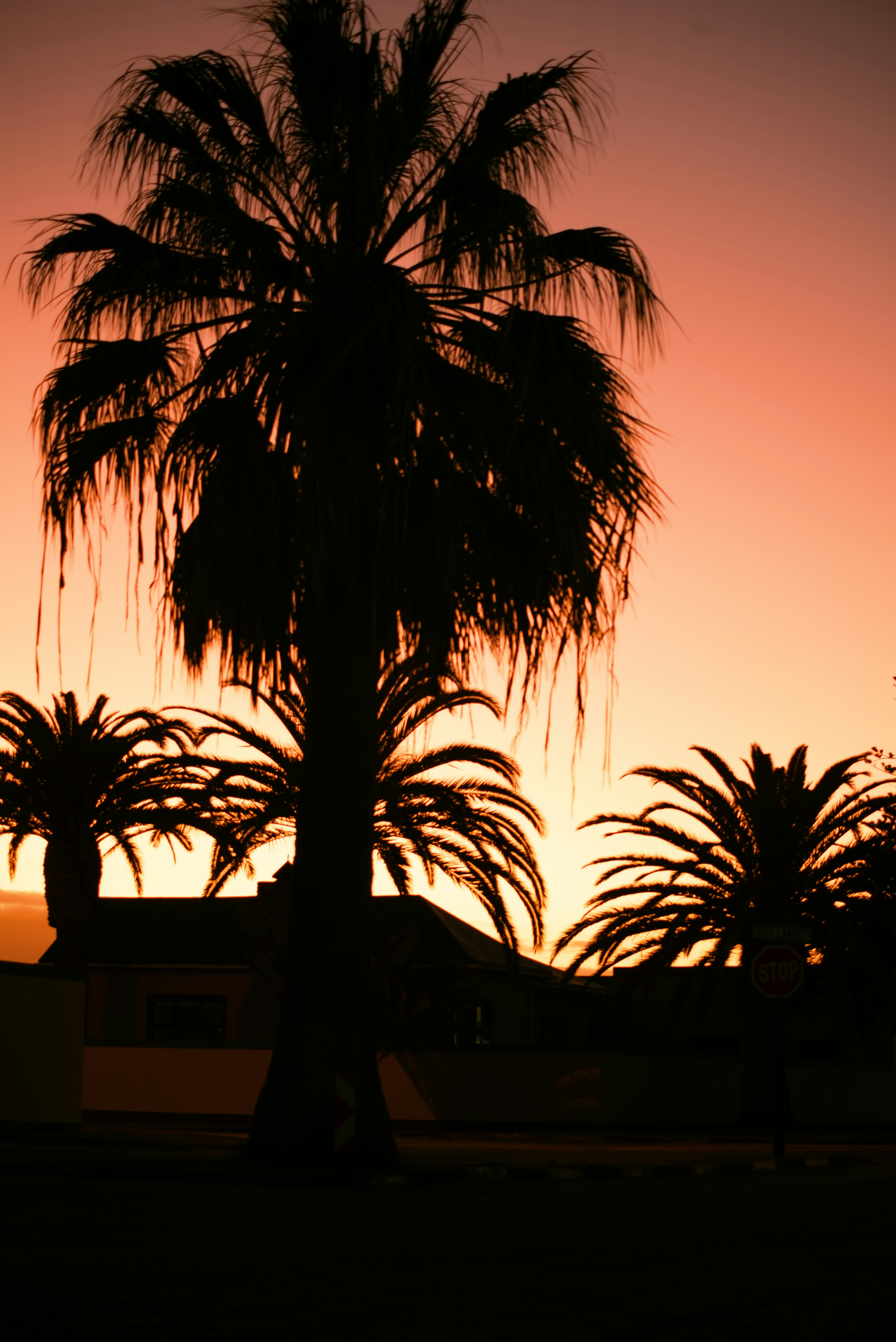 Photo by Vladimir Oprisko with Nikon D750