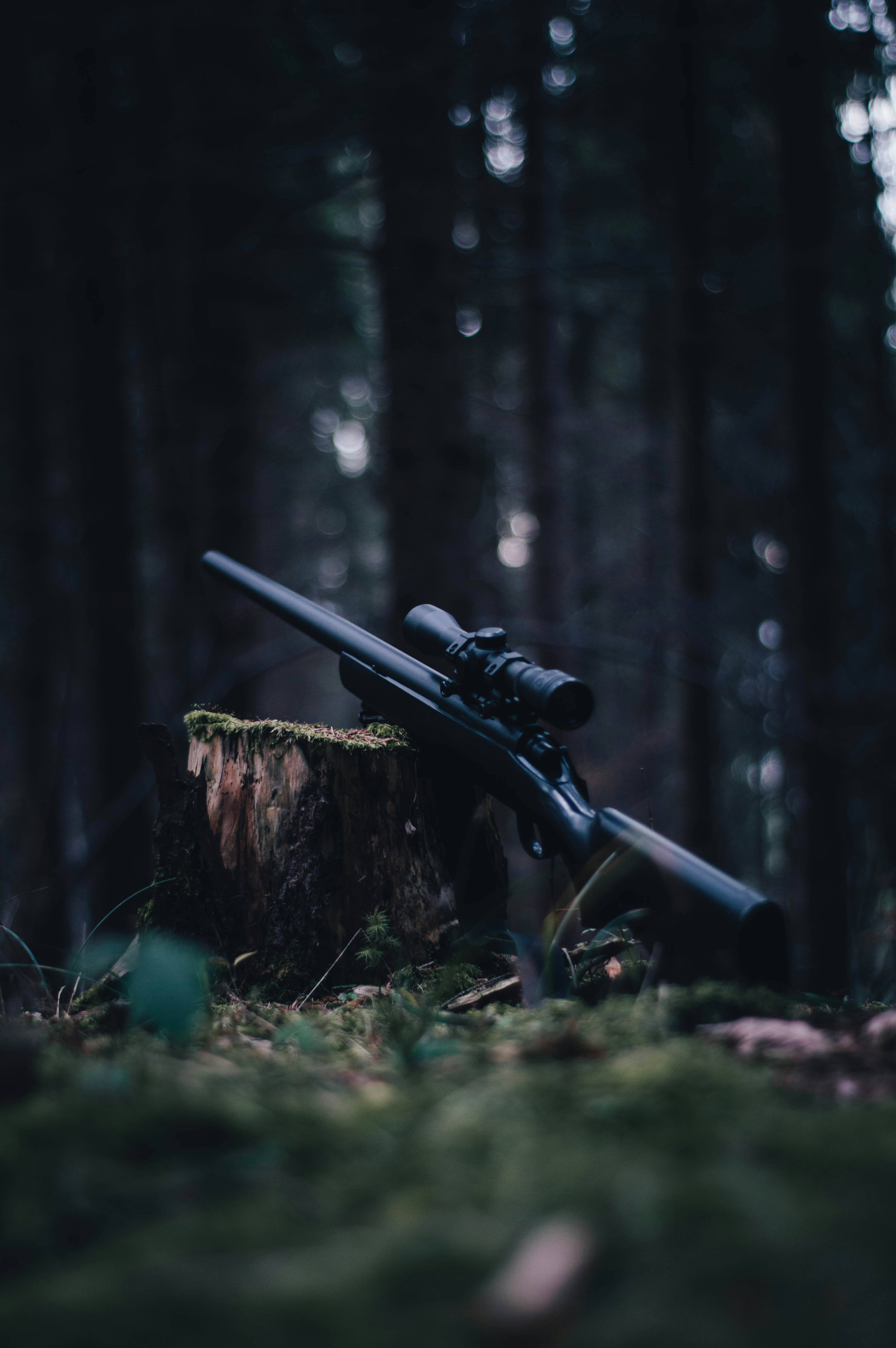 A gun on a stump in the woods photo – Free Gun Image on Unsplash