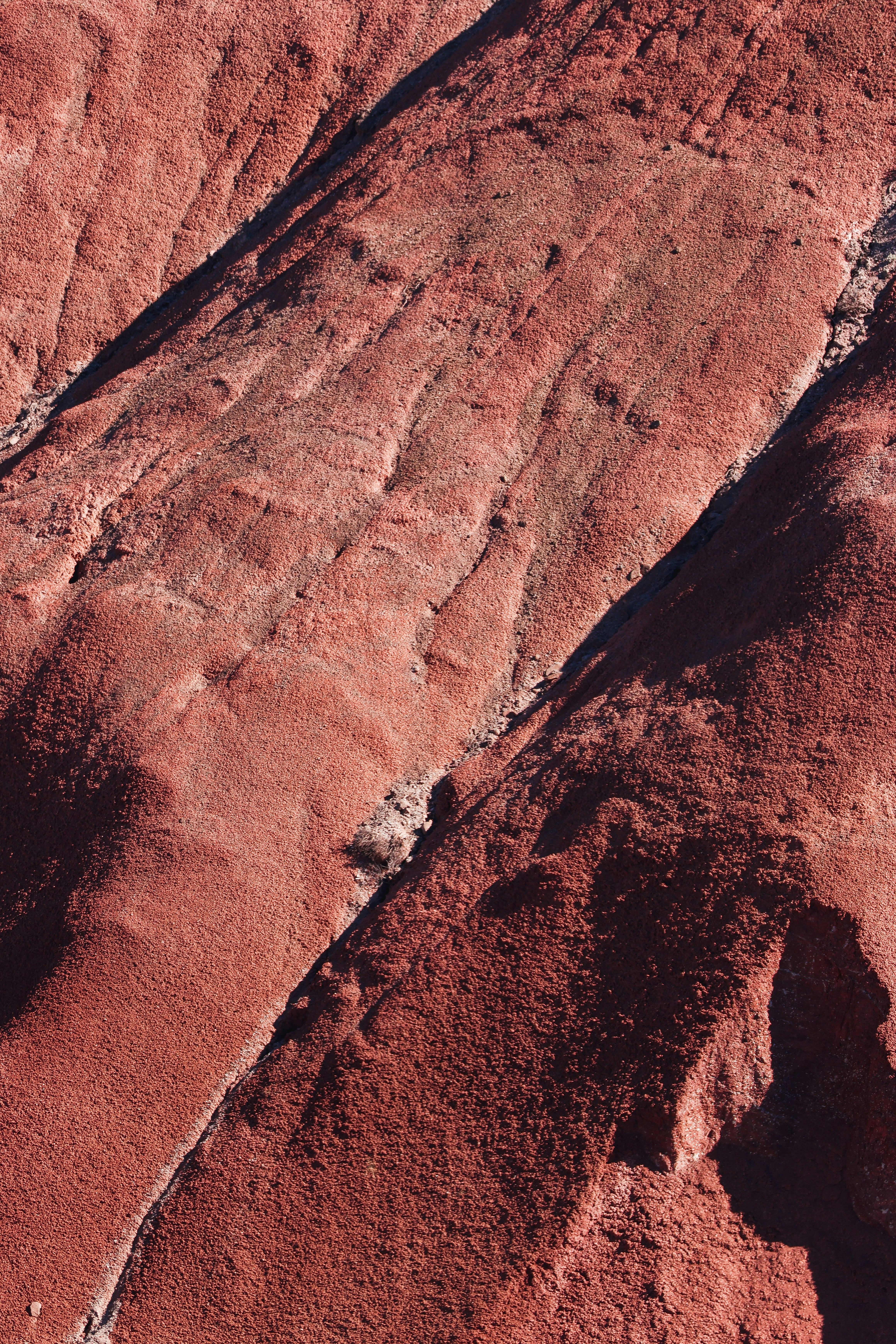 Gros plan d’un rocher rouge photo – Photo Forêt pétrifiée Gratuite sur ...