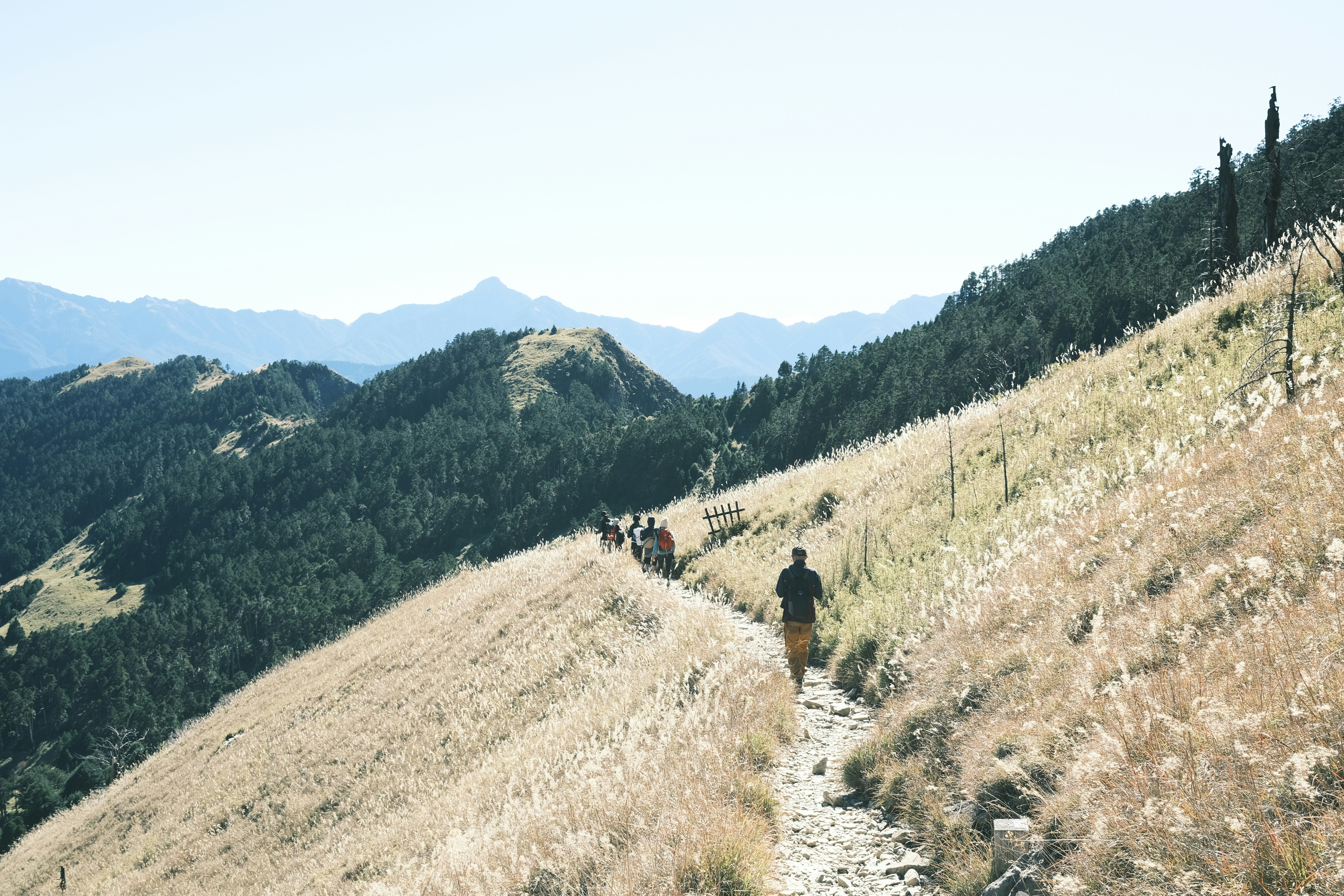 A group of people riding horses on a trail in a hilly area photo – Free ...