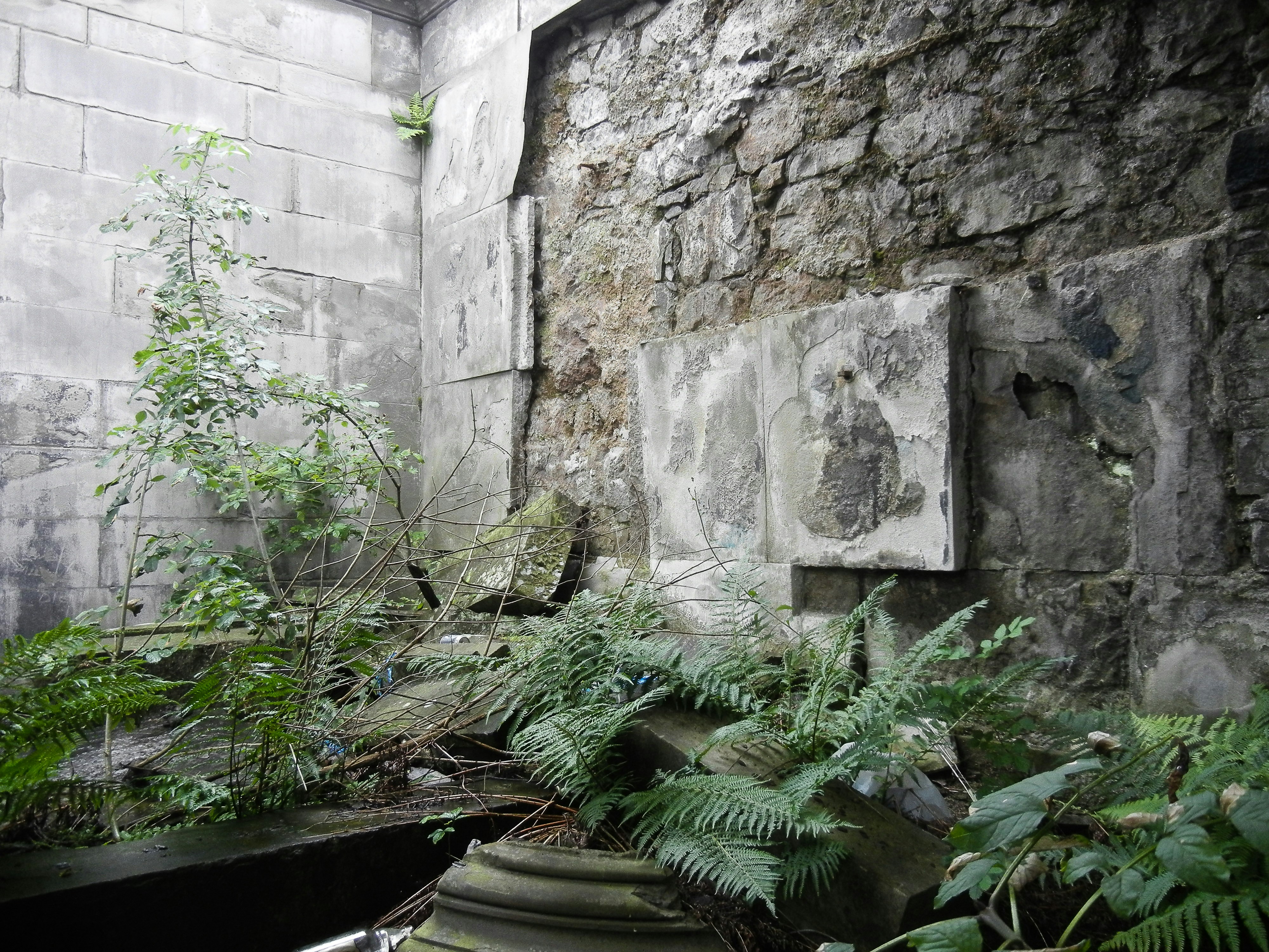 a stone wall with plants and rocks