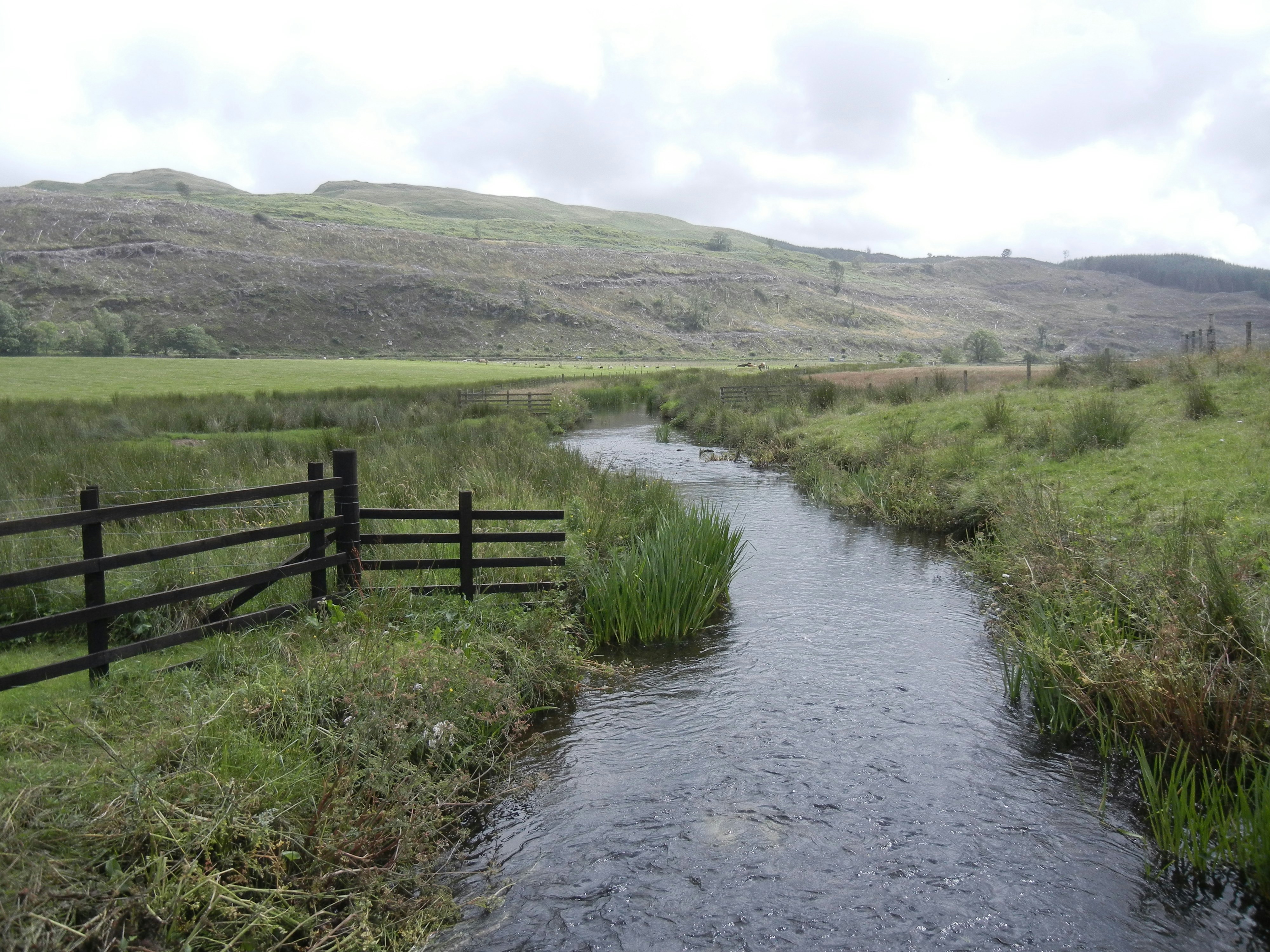 A stream running through a grassy area photo – Free Scottish highlands ...