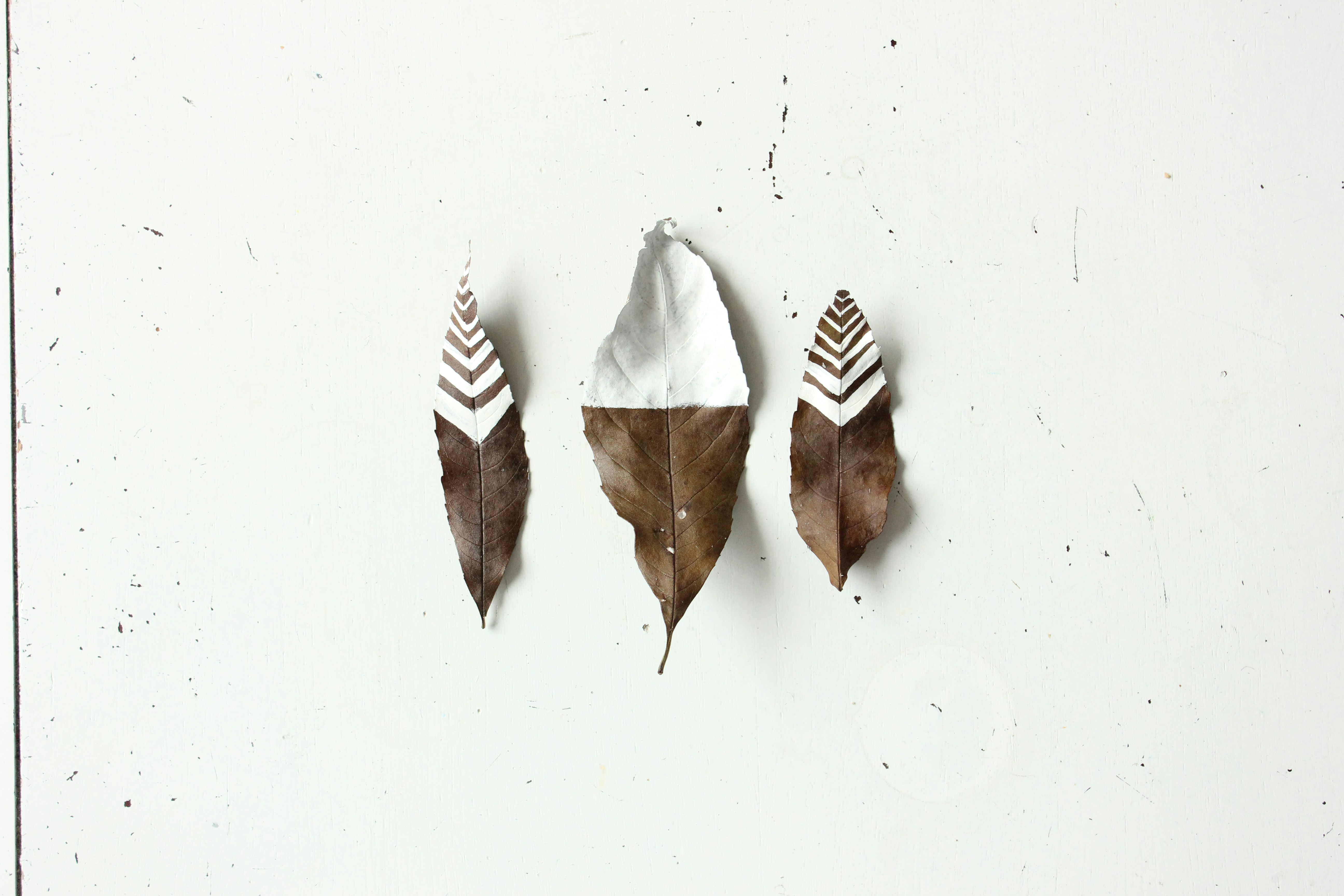 Triptych of Dried Leaves on a Pure White Canvas