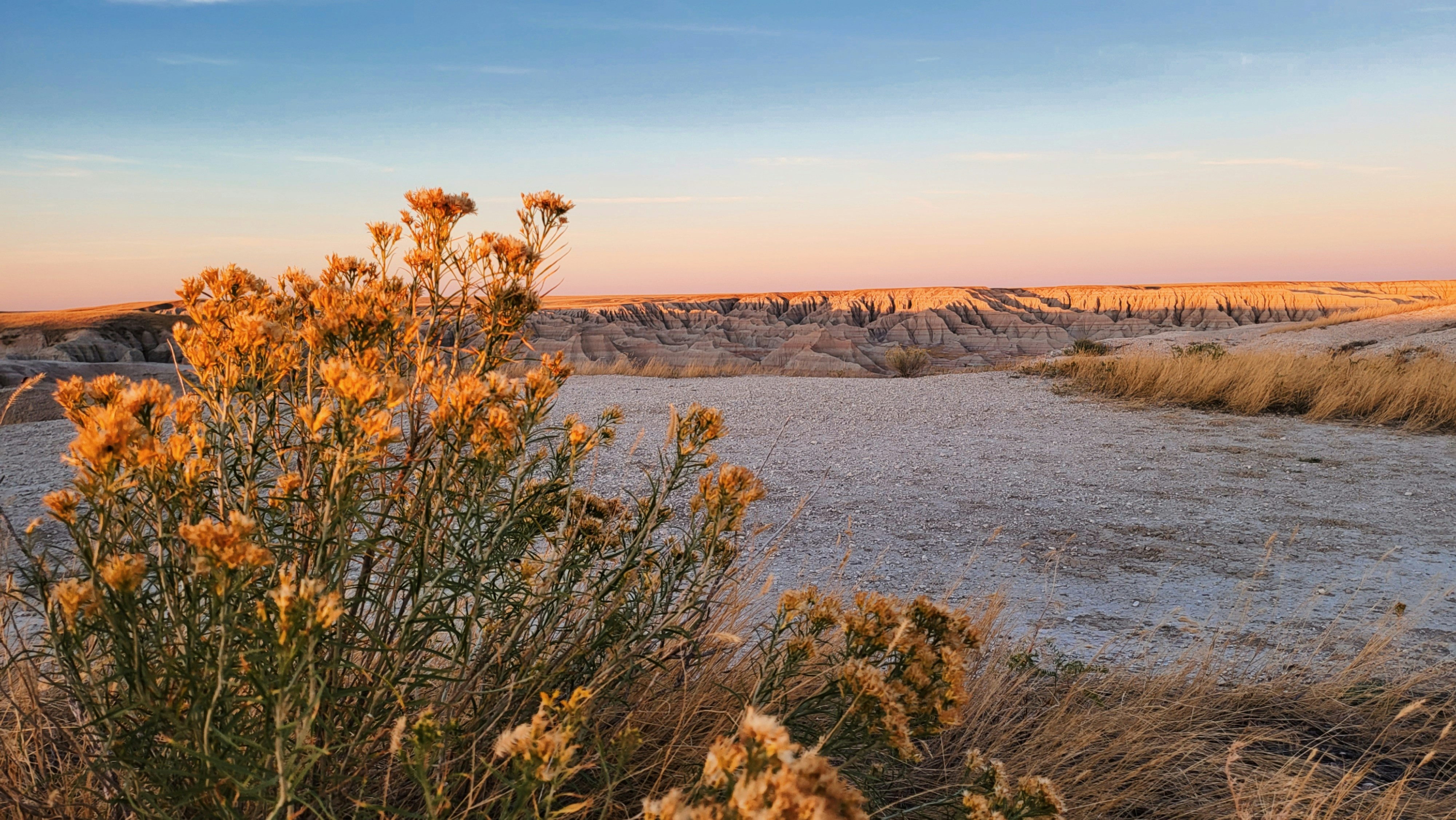 A body of water with plants and trees around it photo – Free Badlands ...