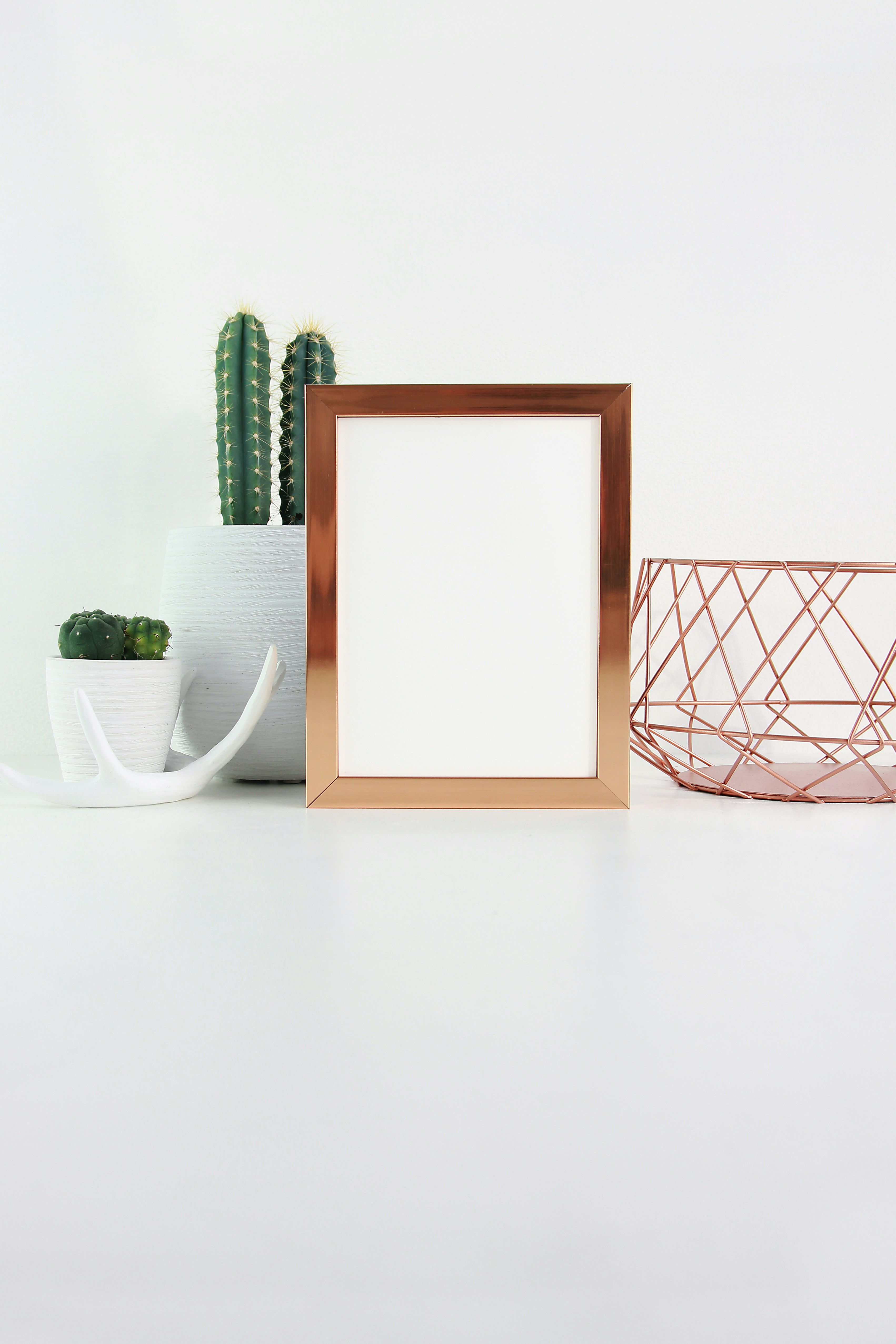 A wooden frame with a plant in it photo – Free Art Image on Unsplash