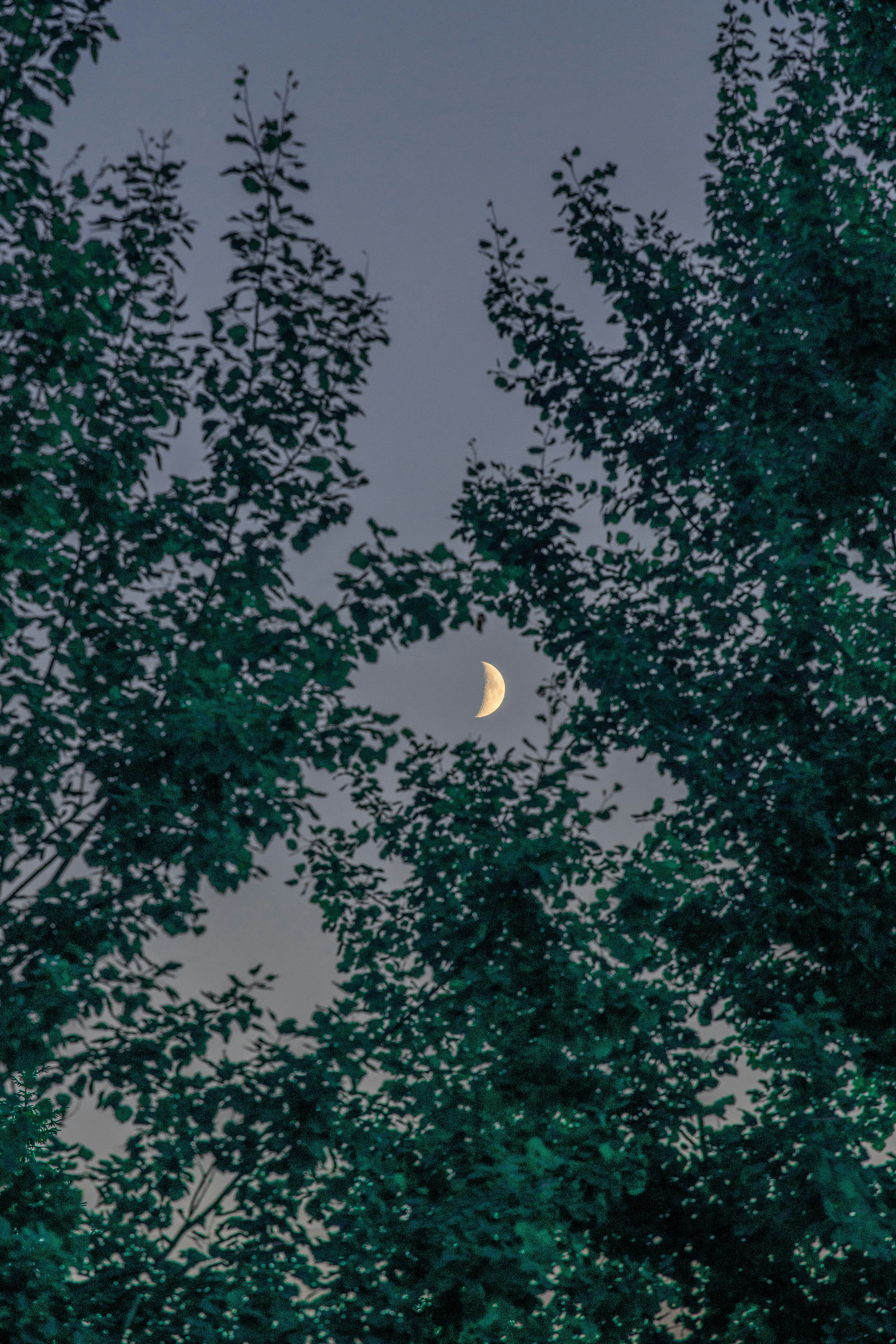 A moon in the sky photo – Free Moon Image on Unsplash