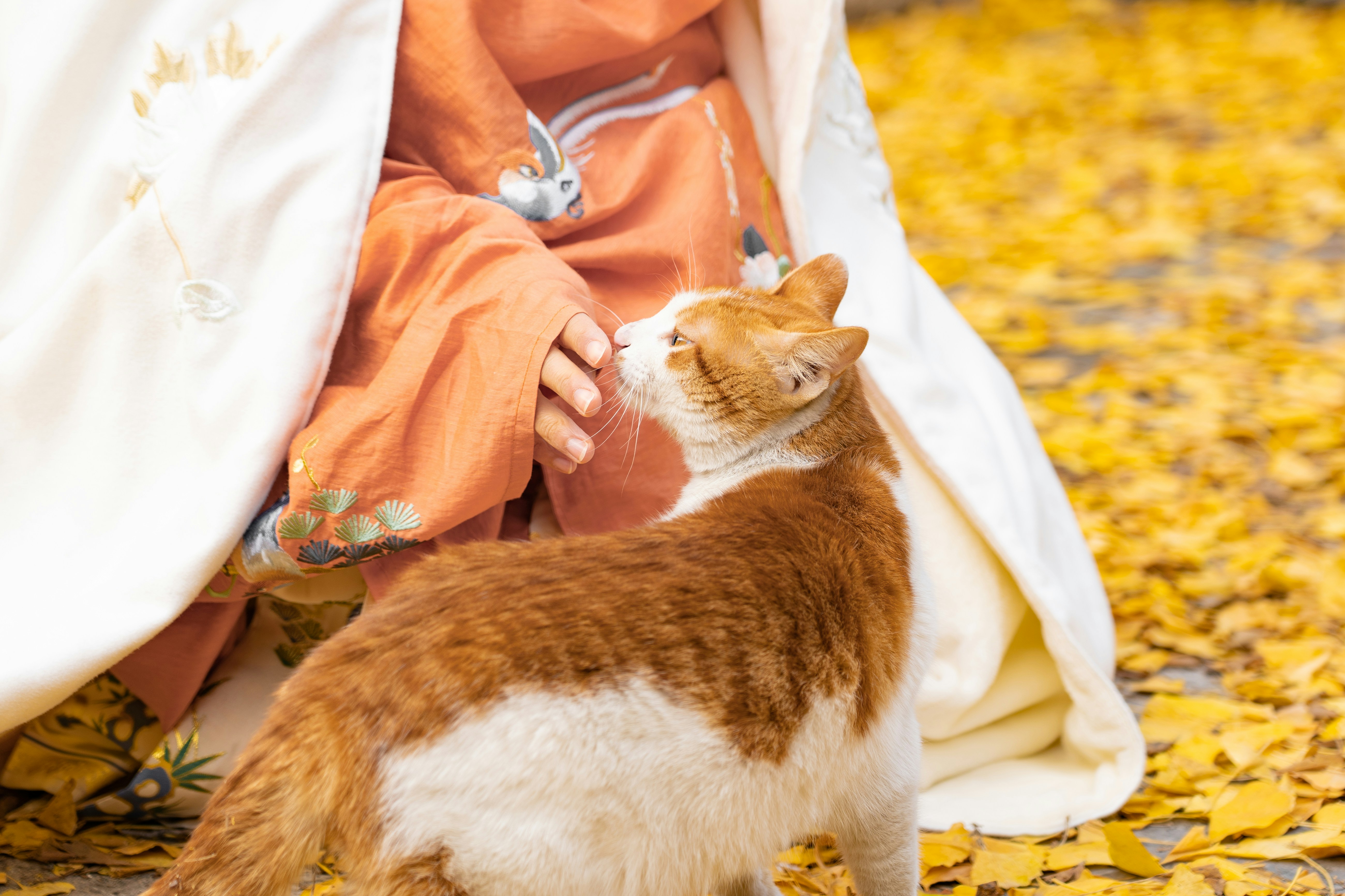 a person holding a cat