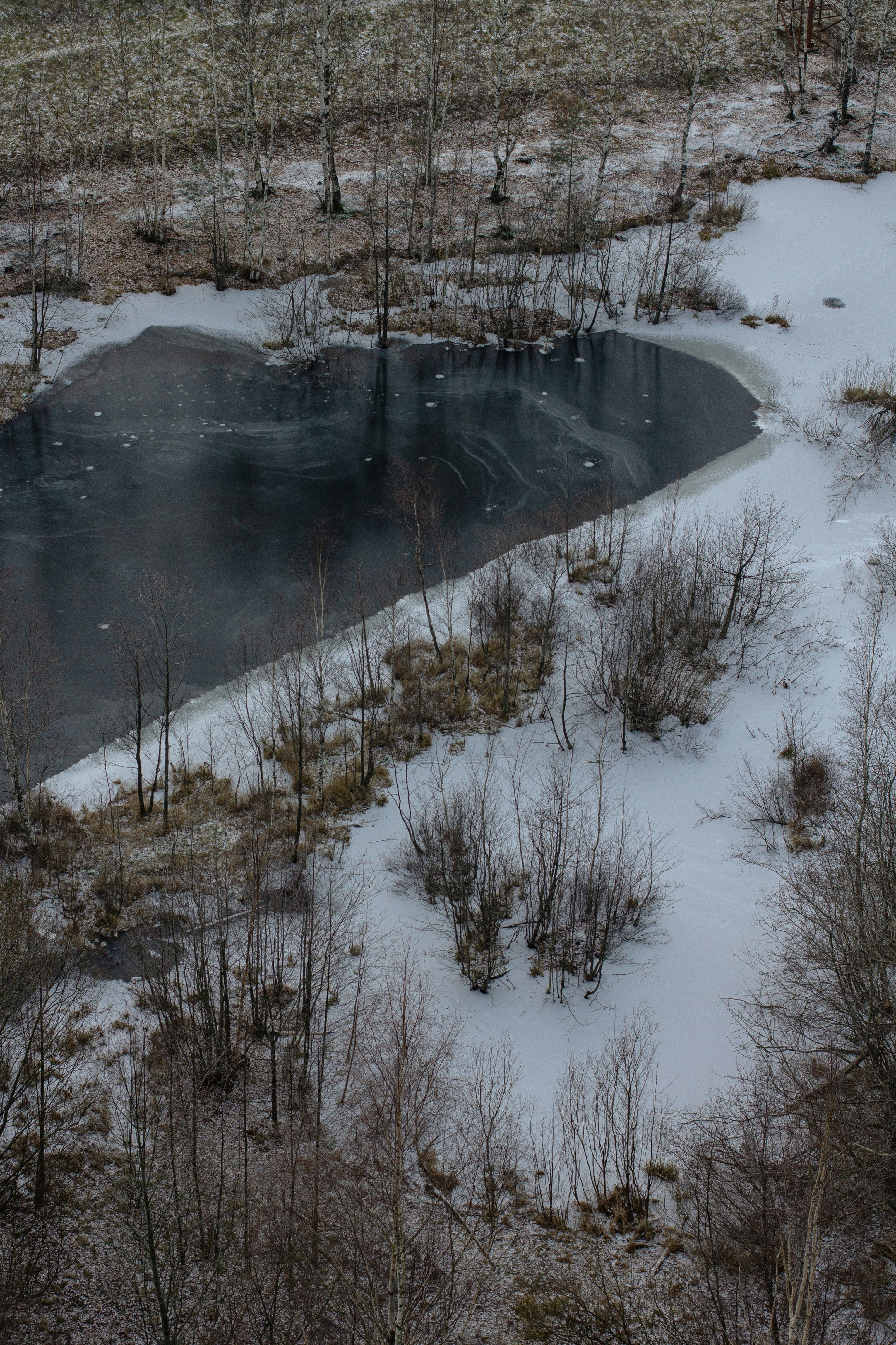 Glassy Pond in a Snow-Washed Forest