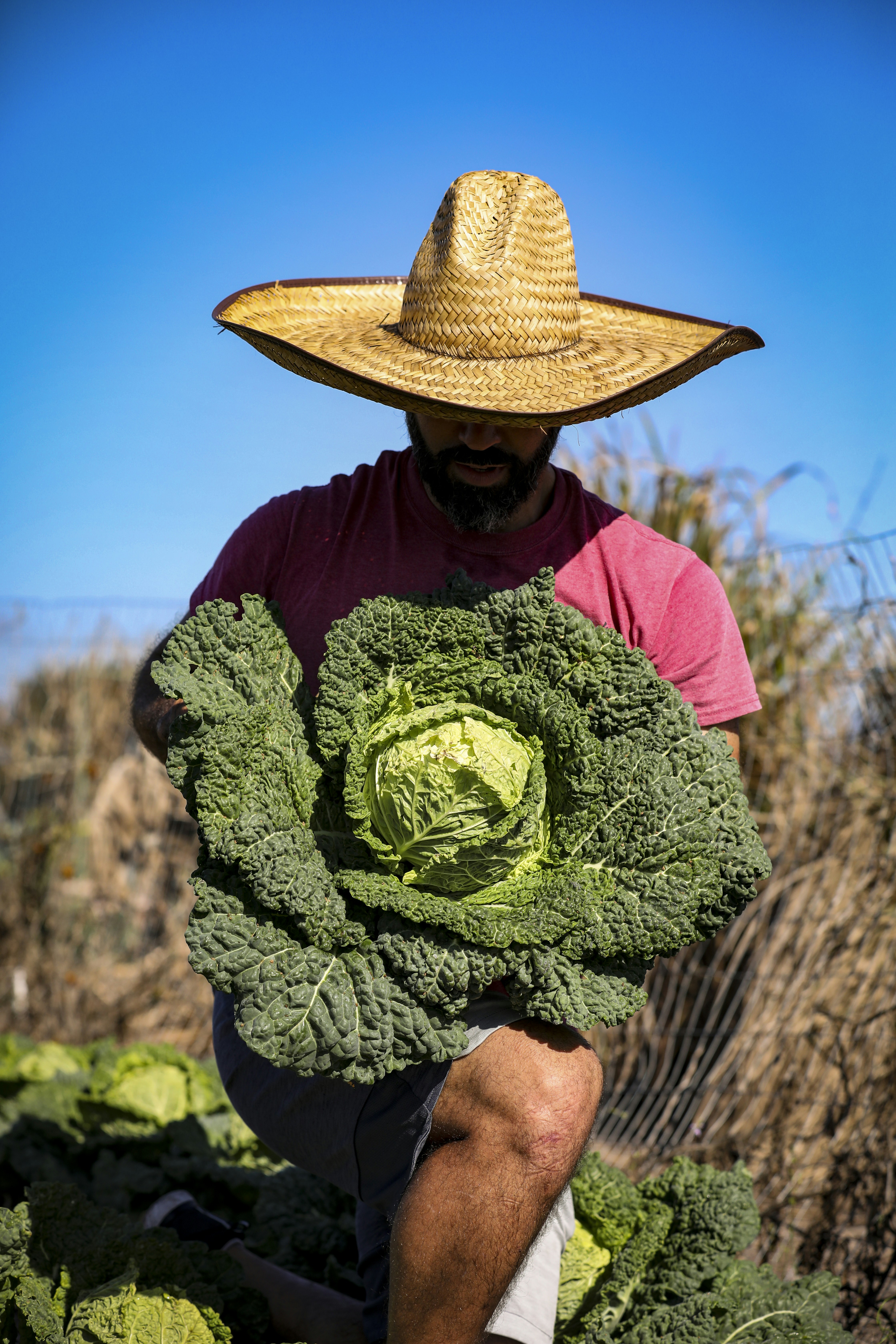 A friend in his vegetable garden.