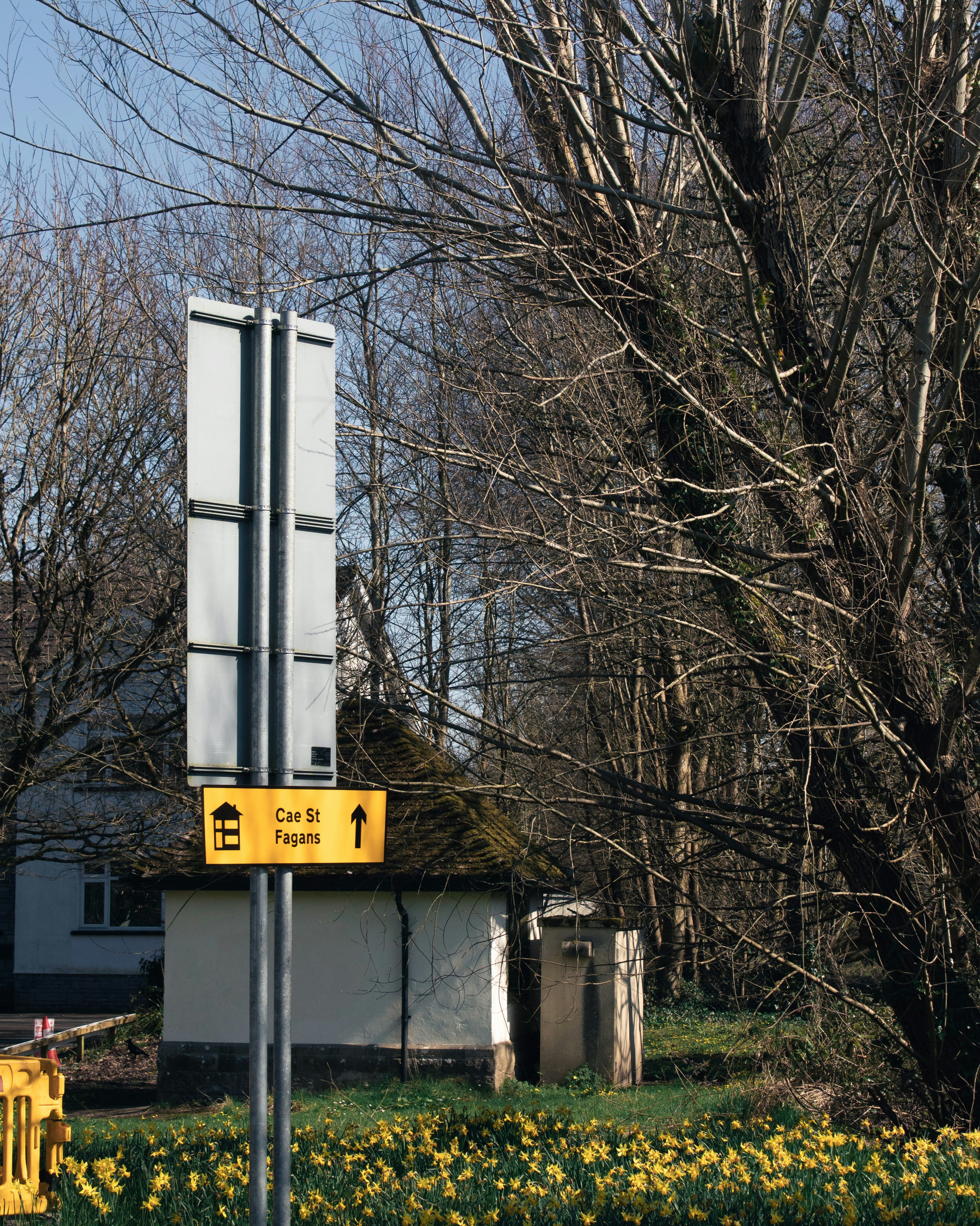 Yellow Arrow in a Quiet Yard: Signpost Framed by Winter Branches