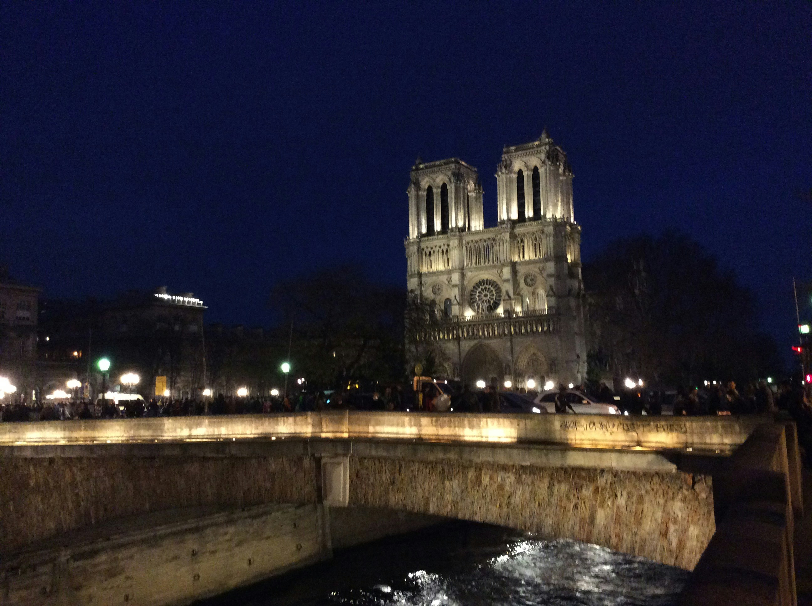 Cathedral at Dusk: Moonlit Notre Dame across the Seine