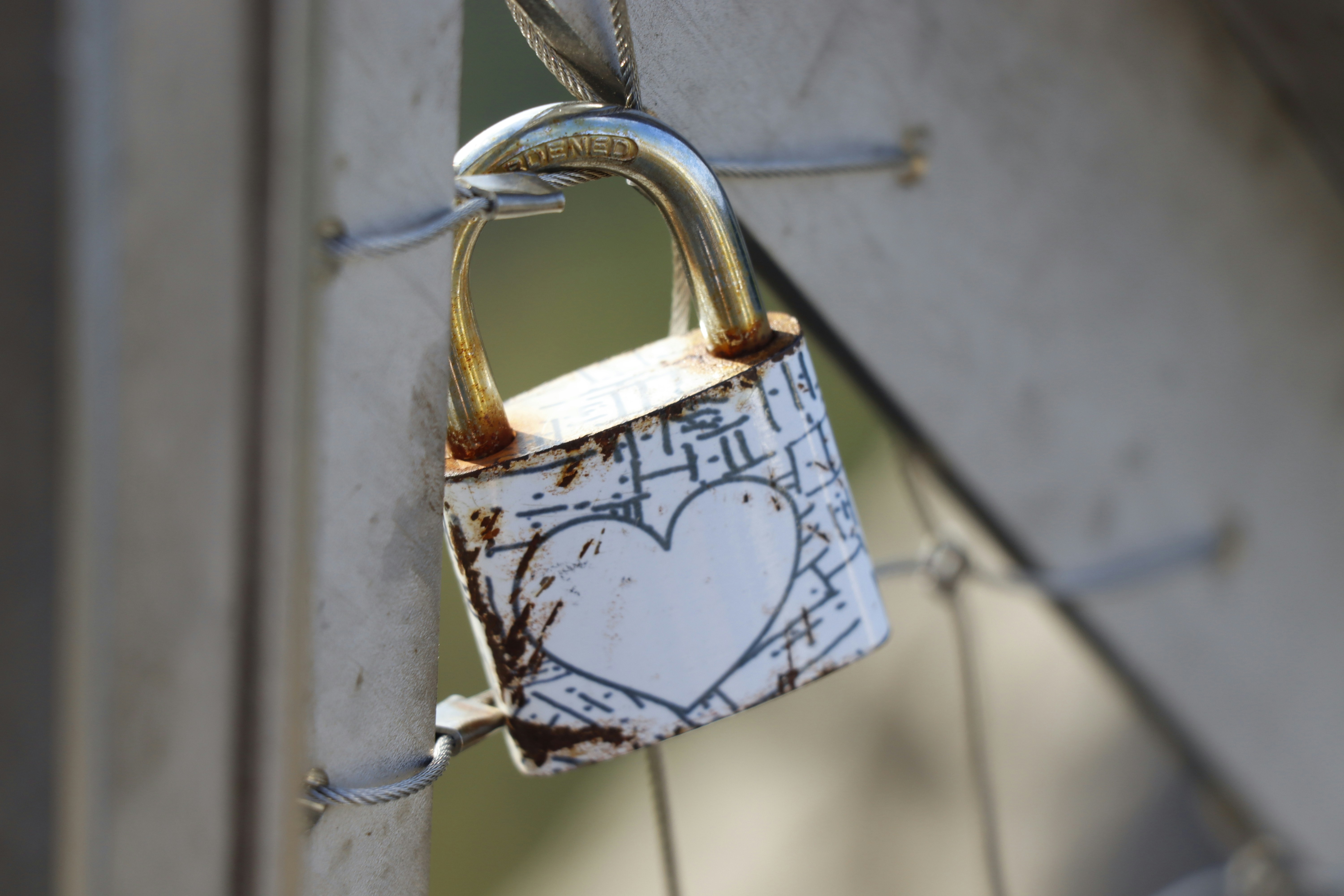 Heart of the Lock: A Rusted Promise Clinging to a Weathered Rail