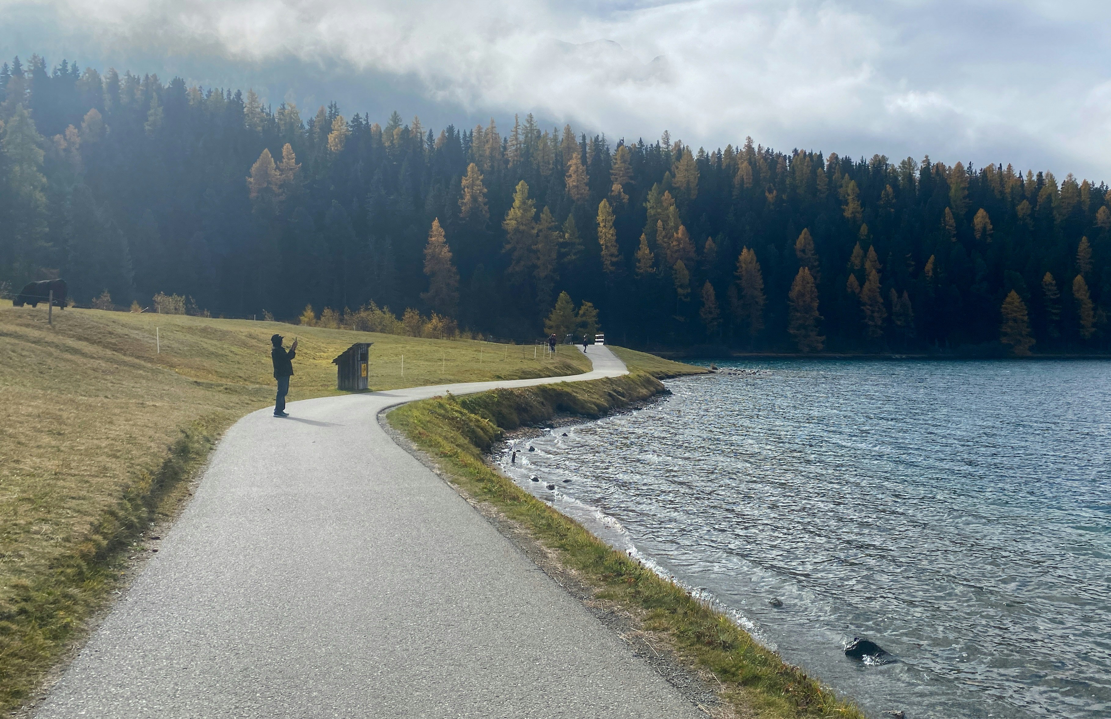 A person standing on a path by a body of water with trees in the back ...