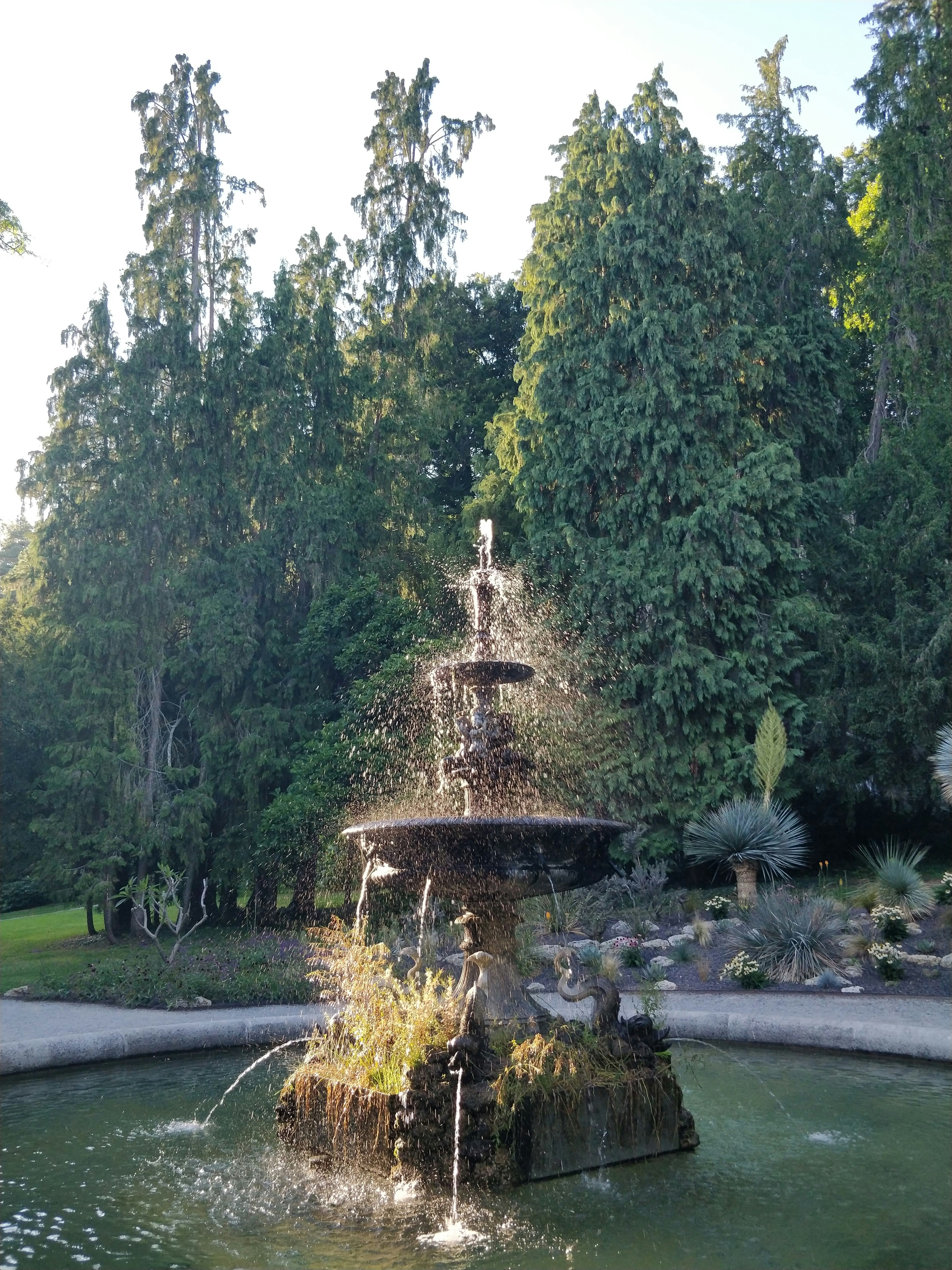 Une fontaine d’eau dans un parc photo – Photo Fontaine Gratuite sur ...