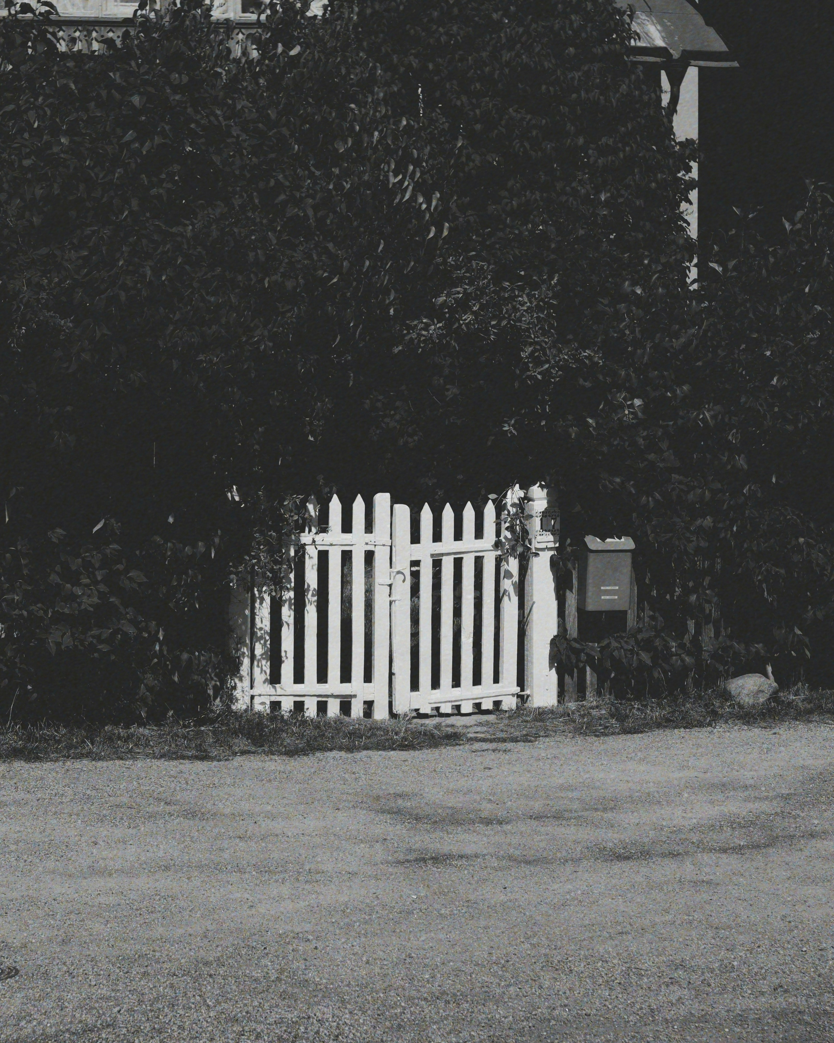 Photo by avechenri with Canon EOS M50 Mark II