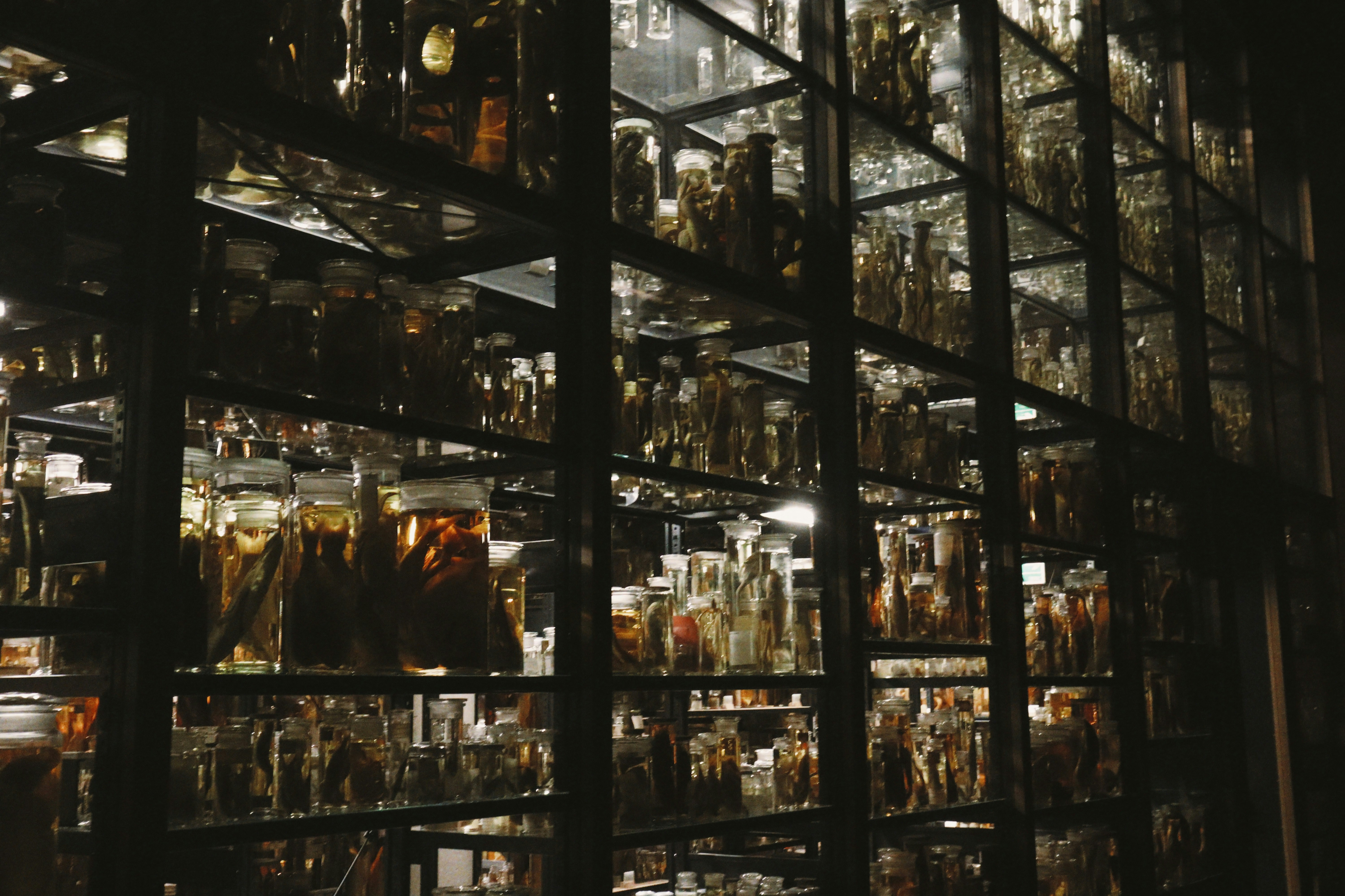 Photo by avechenri with Canon EOS M50 Mark II