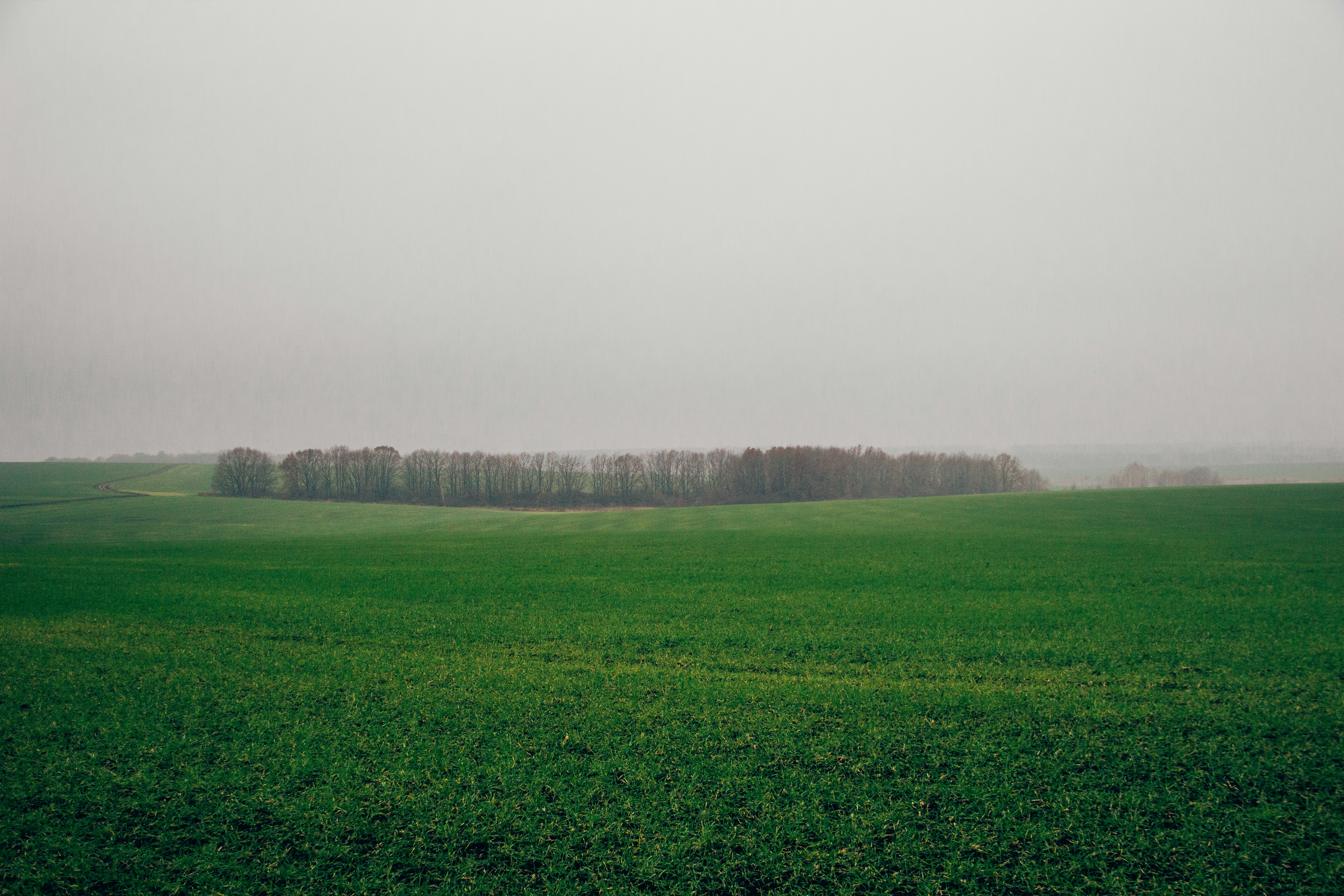 A large green field photo – Free Nature Image on Unsplash