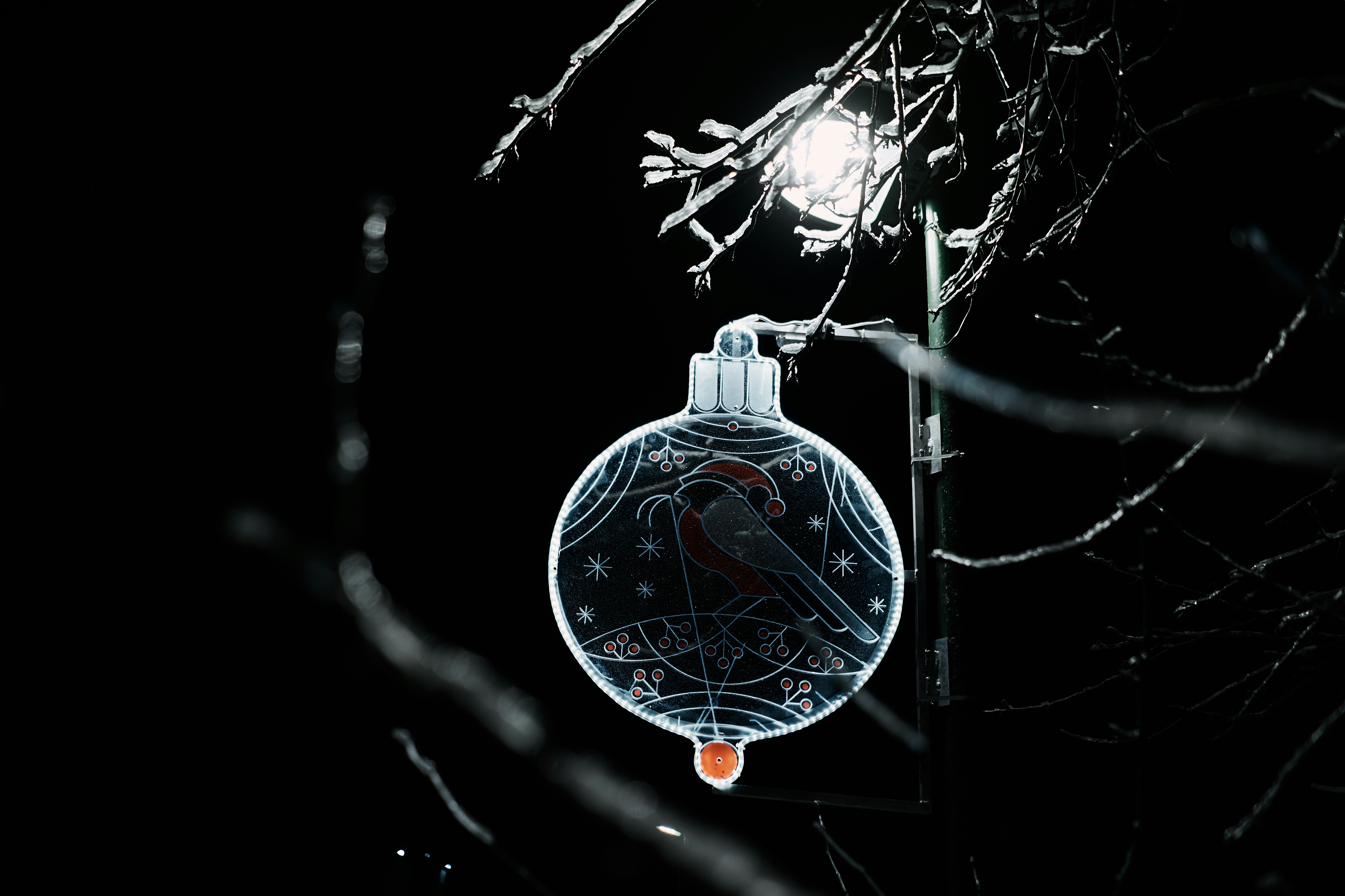 Midnight Ornament: A Silent Globe Adorned in Frost