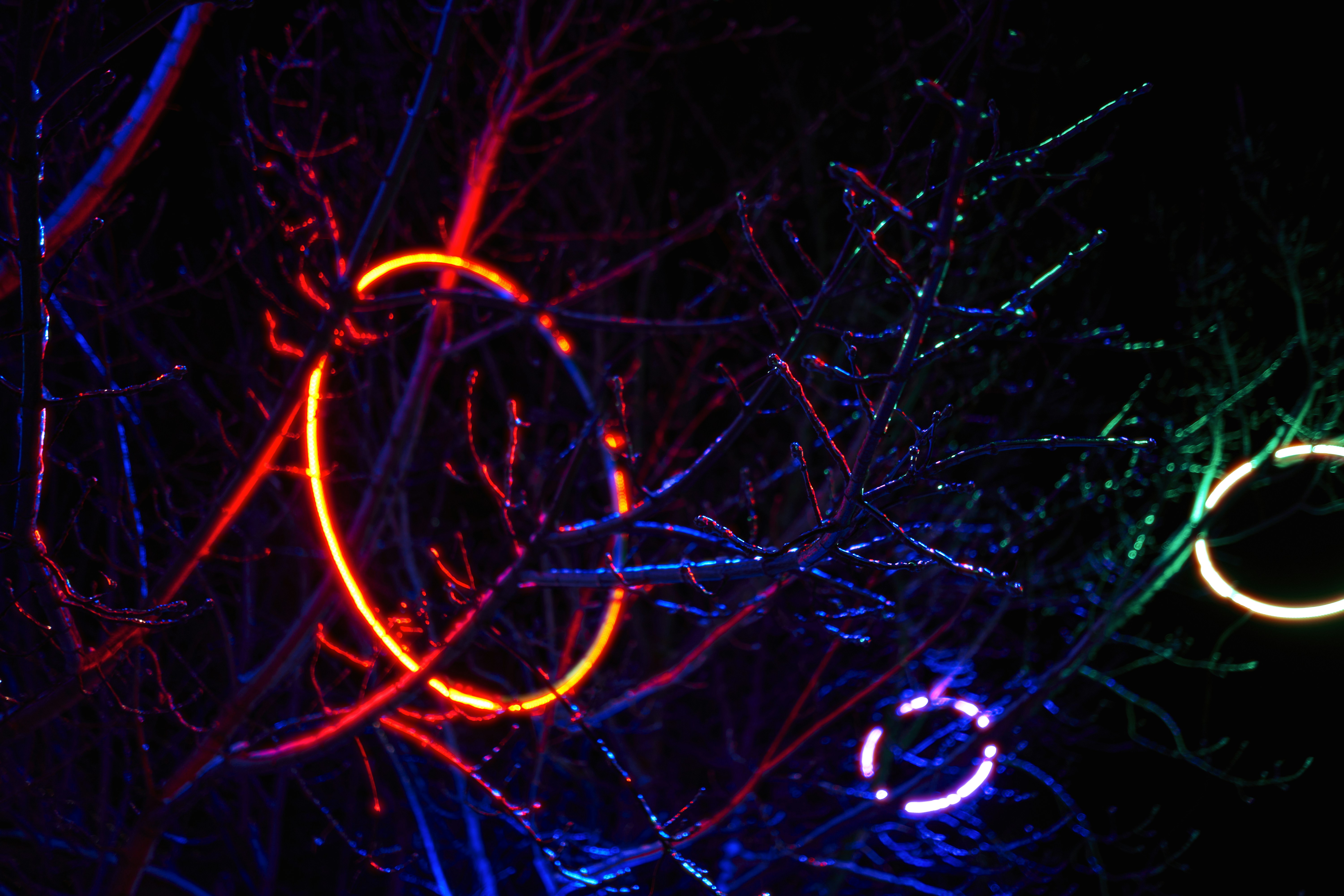 Neon Ring Garden: A Night of Glowing Vines