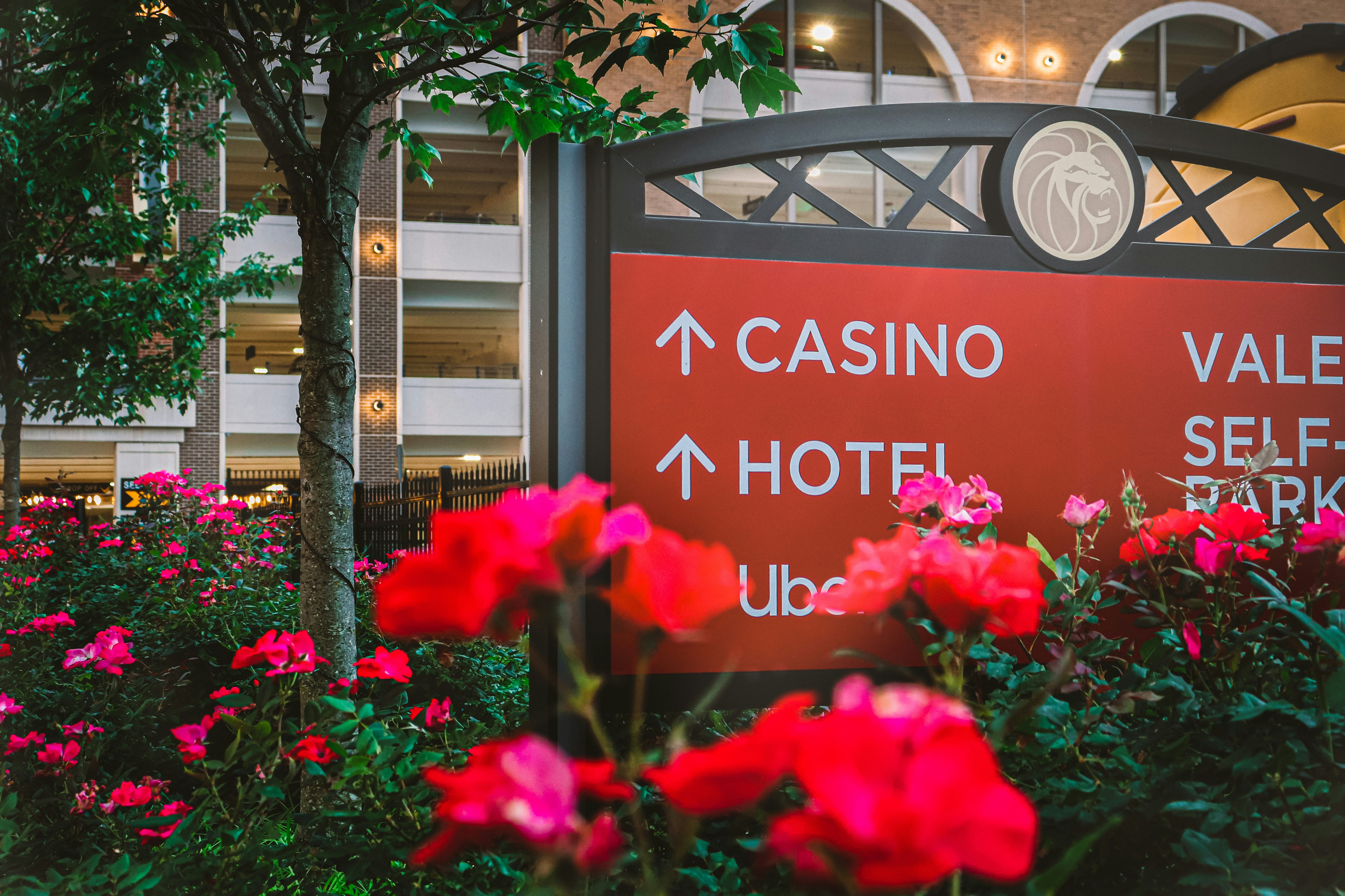 Tyson Moultrie (@tysonmoultrie) | Comunidad de fotos de Unsplash