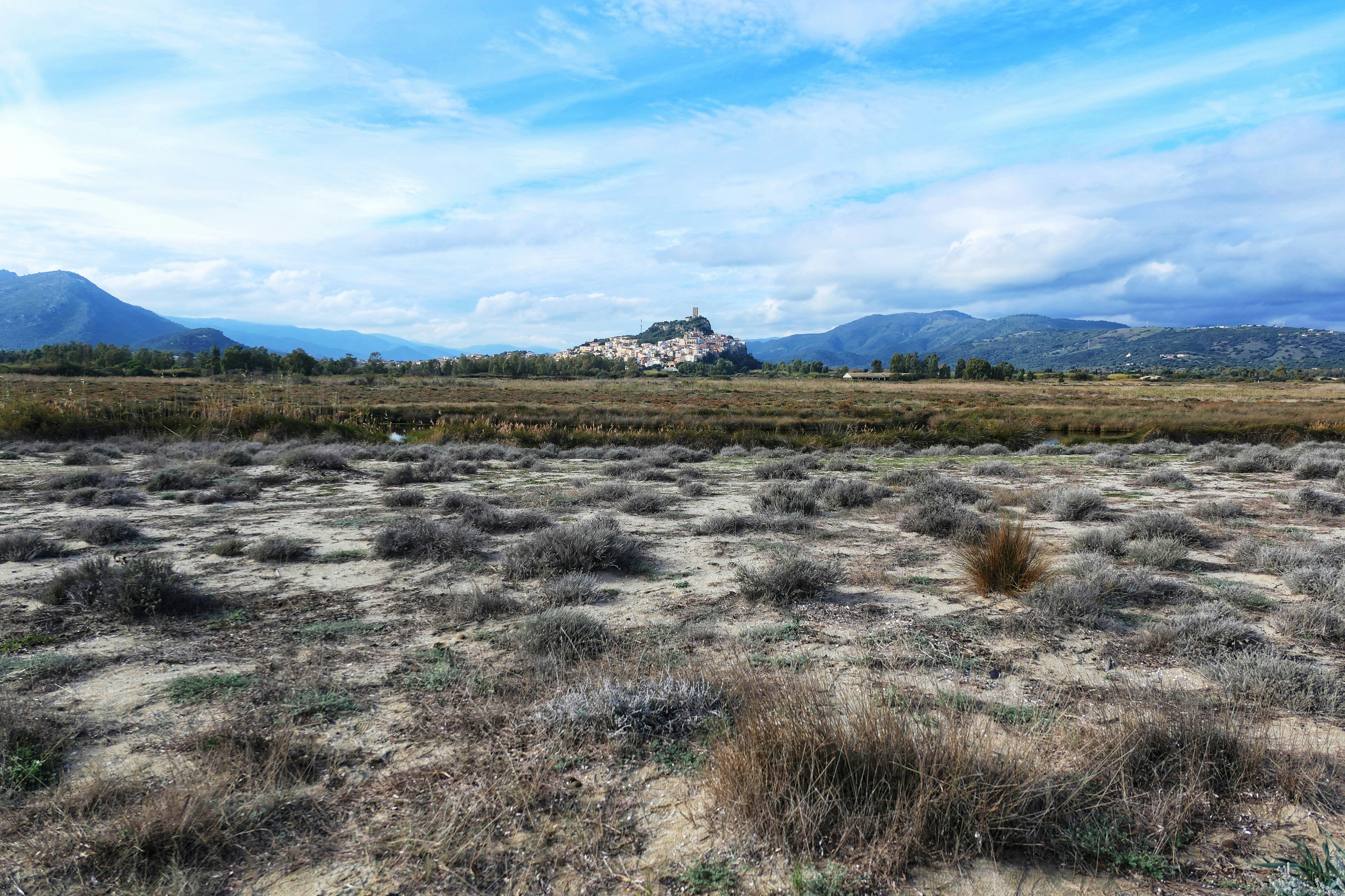 Desolate Plains Under a Painted Sky