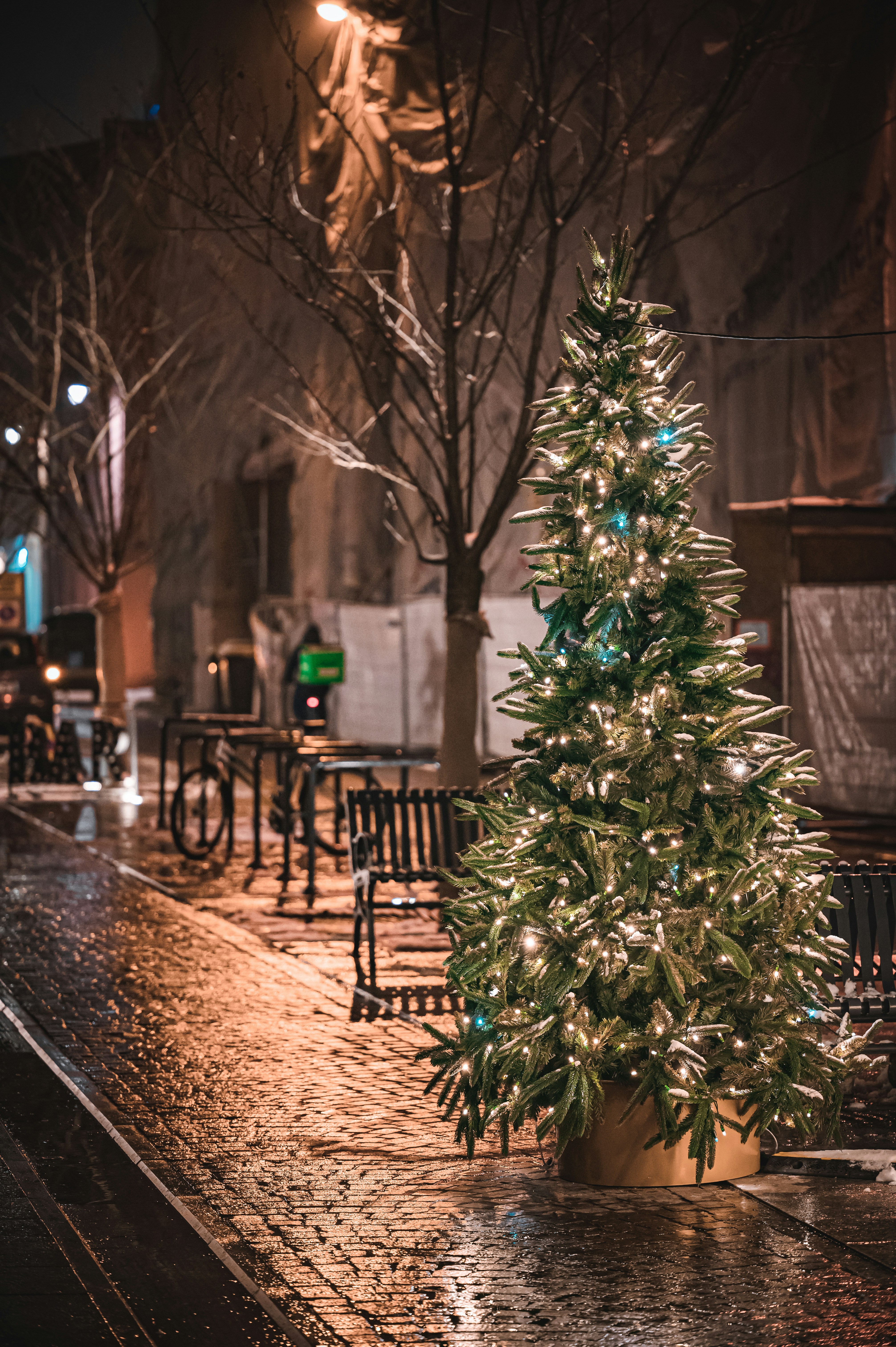 A beautifully lit Christmas tree stands alone on a wet city street, surrounded by bare trees and benches, reflecting the festive spirit in a quiet urban setting.