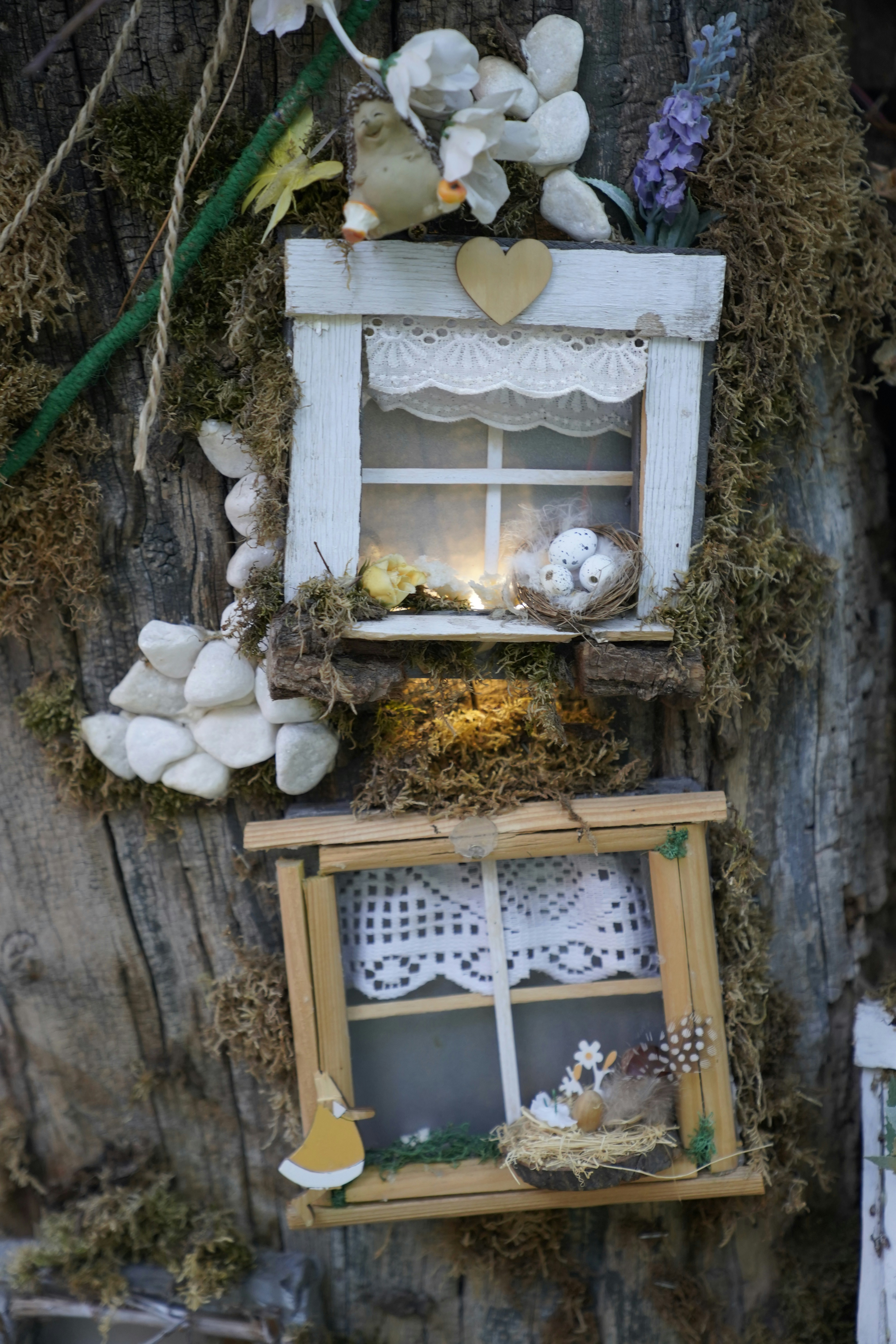 Photo by Radu Prodan with Sony Alpha 7 III