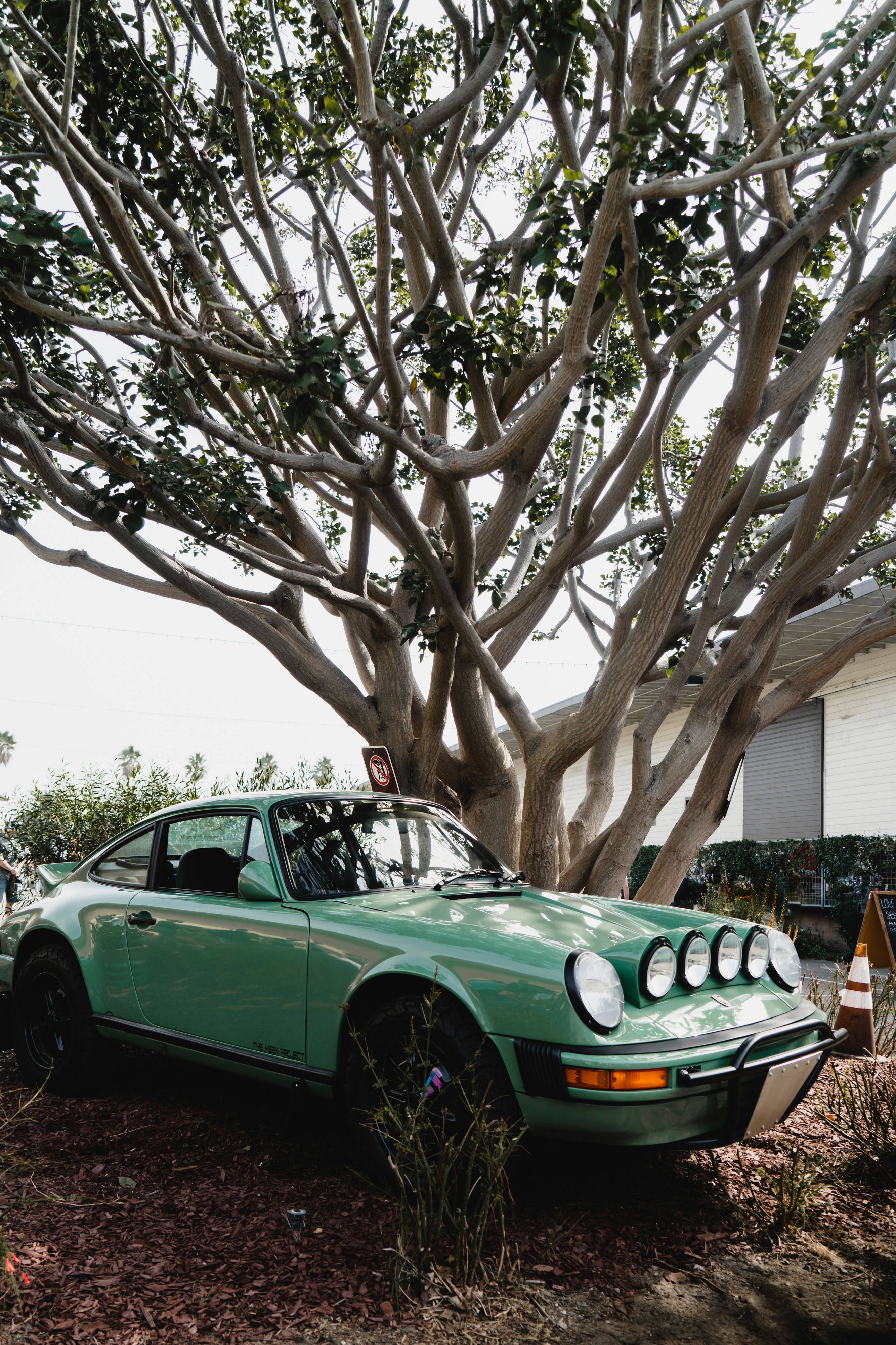 A green car parked under a tree photo – Free Los angeles Image on Unsplash