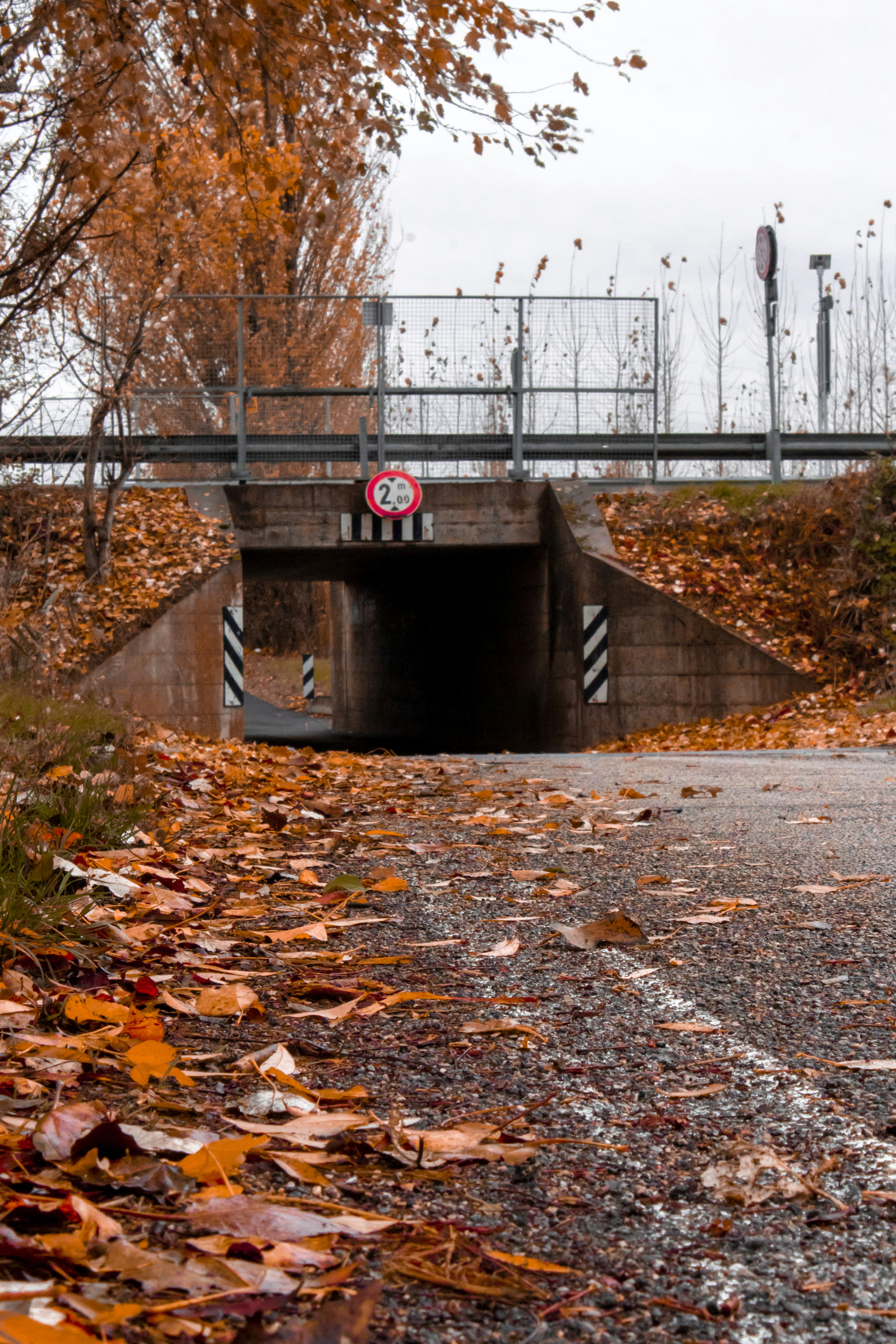 Autumn Underpass: Leaves Framing a Quiet Descent into Shade